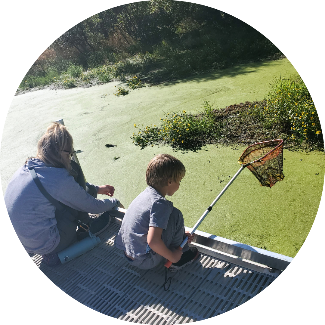 General 2 — Your Site Title