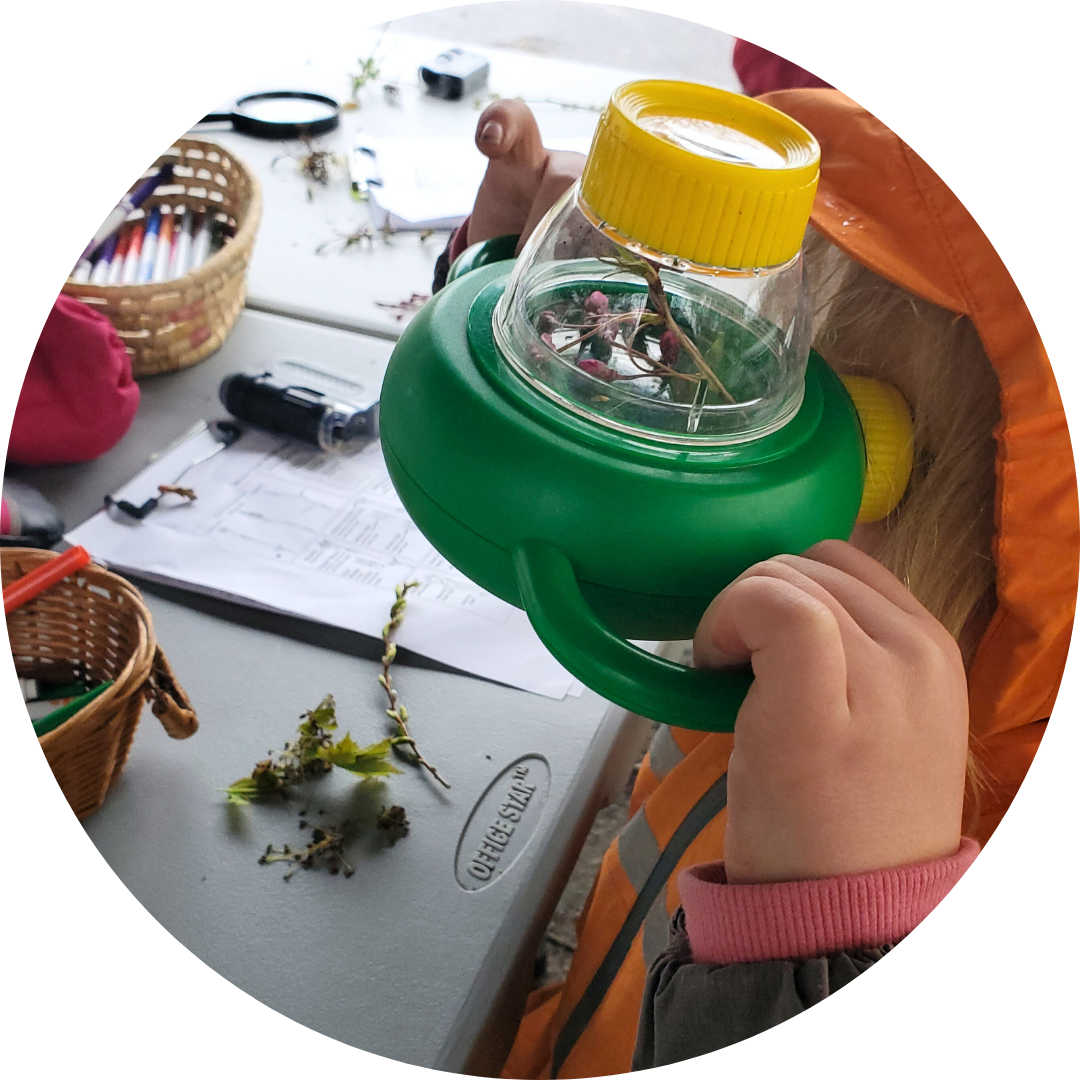 General 2 — Your Site Title