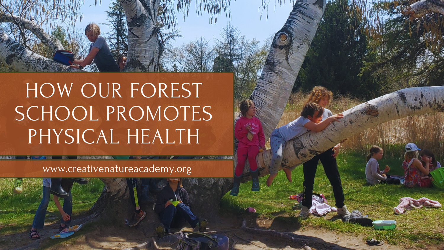 How forest schools help kids build strength, coordination, and ...