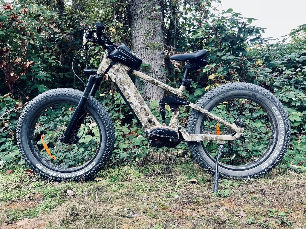 Appointments — Billy E Bikes