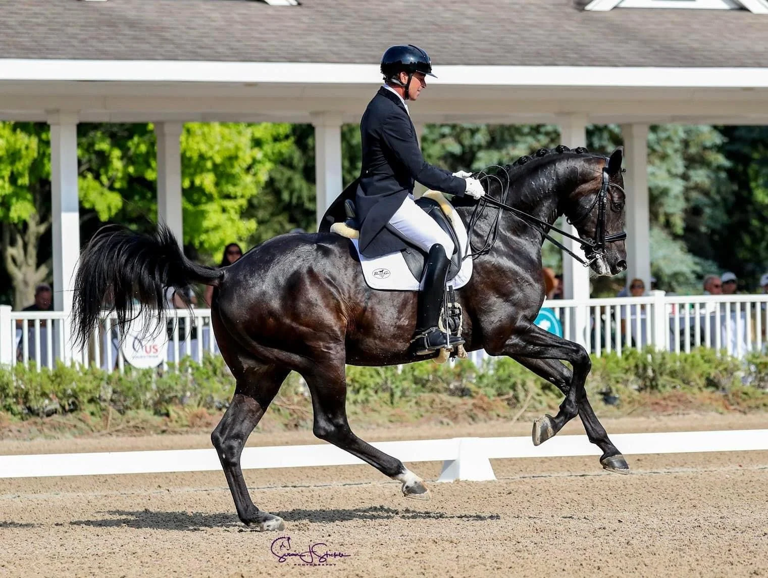 Training — Rigdon & Blake Stables