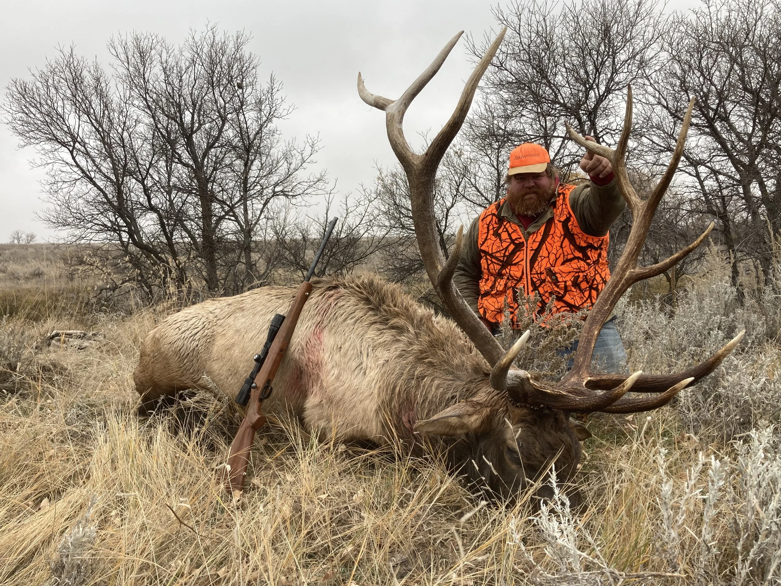 Nebraska Bull and Cow Elk — Oldaker Outfitting