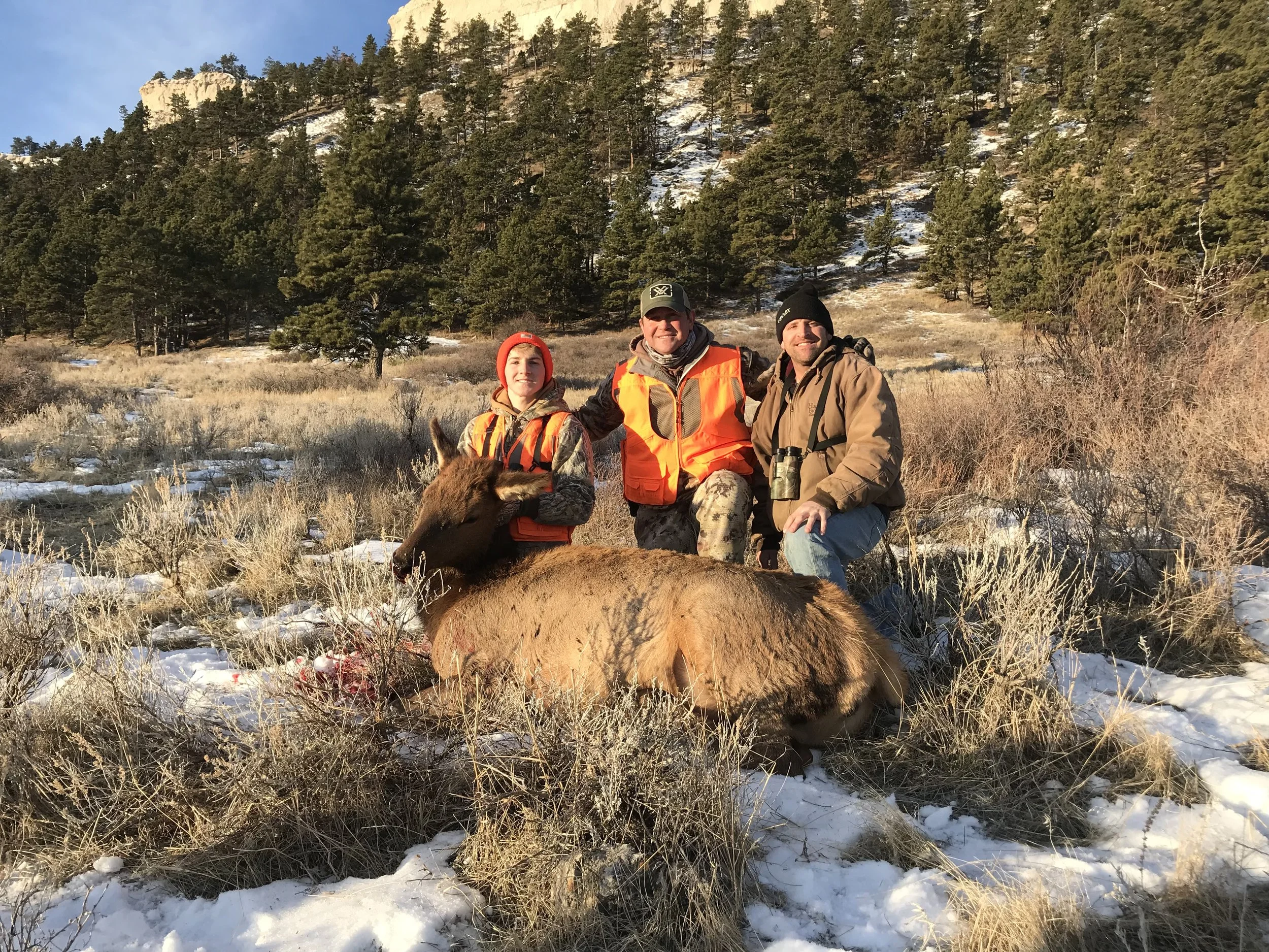 Nebraska Bull and Cow Elk — Oldaker Outfitting