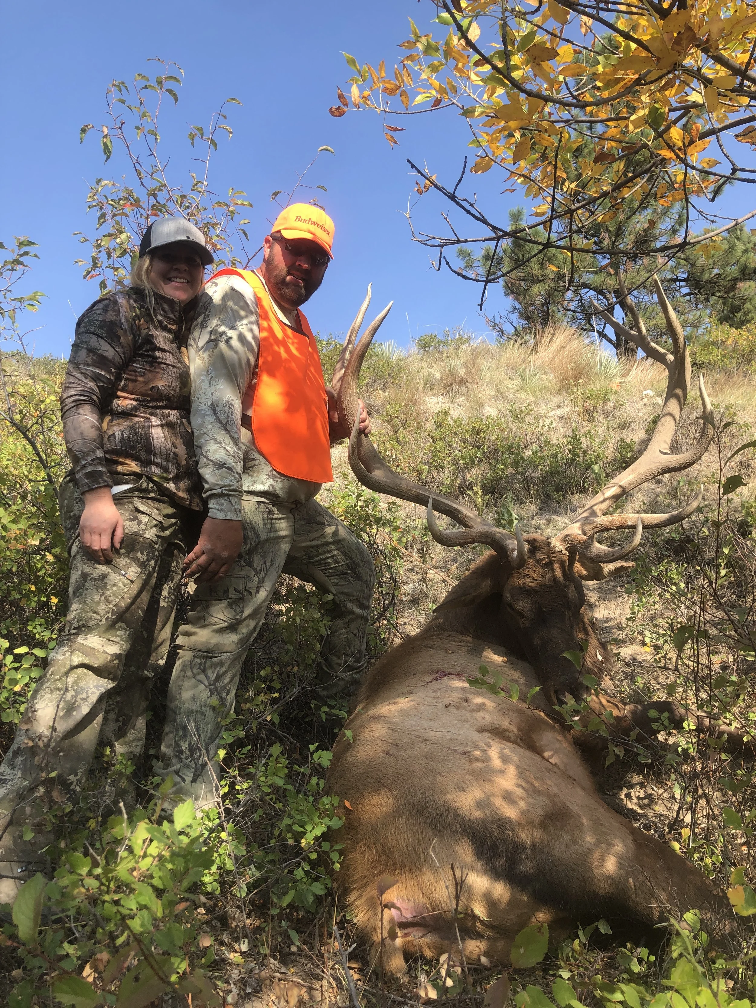 Nebraska Bull and Cow Elk — Oldaker Outfitting