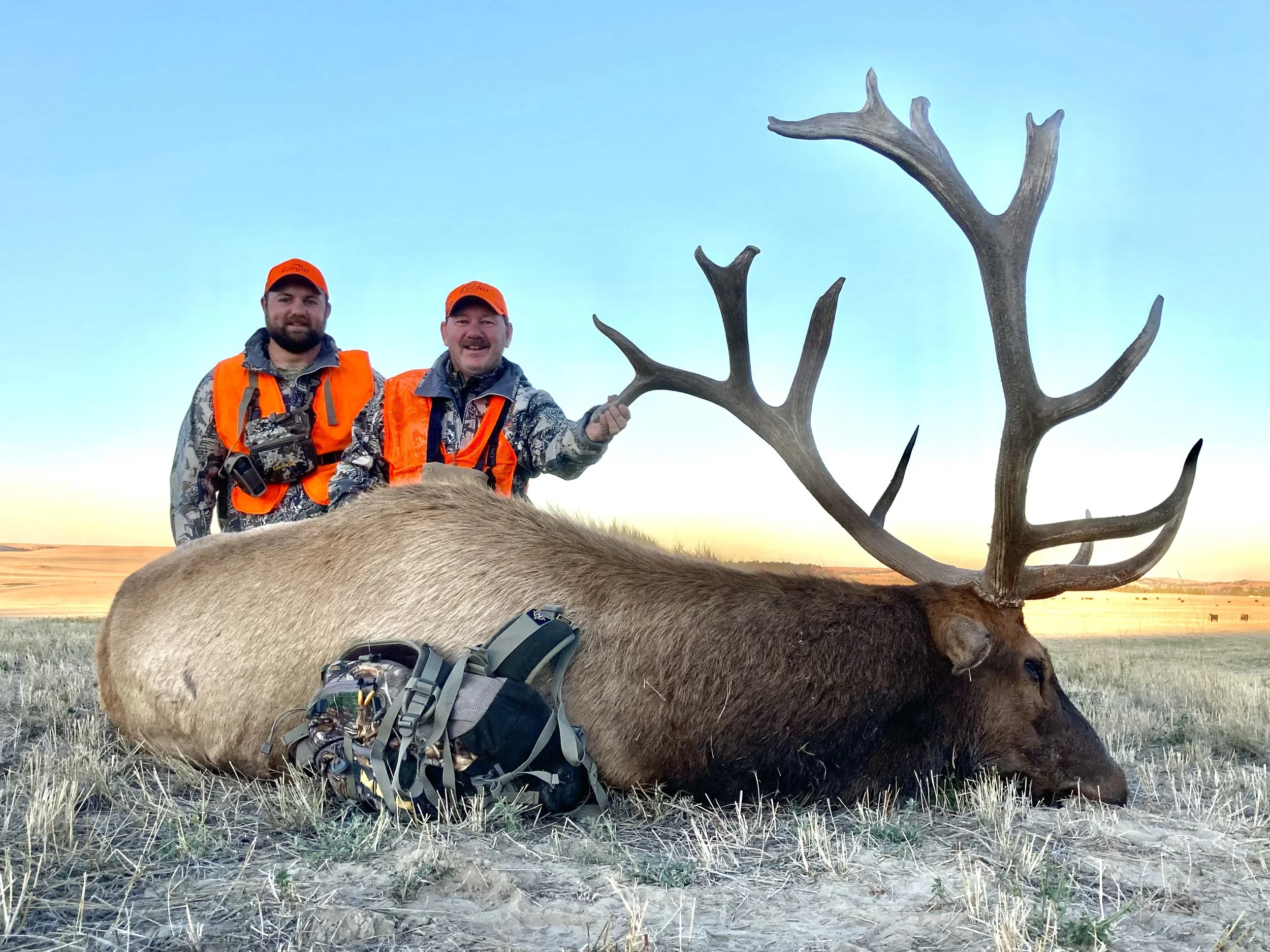 Nebraska Bull and Cow Elk — Oldaker Outfitting