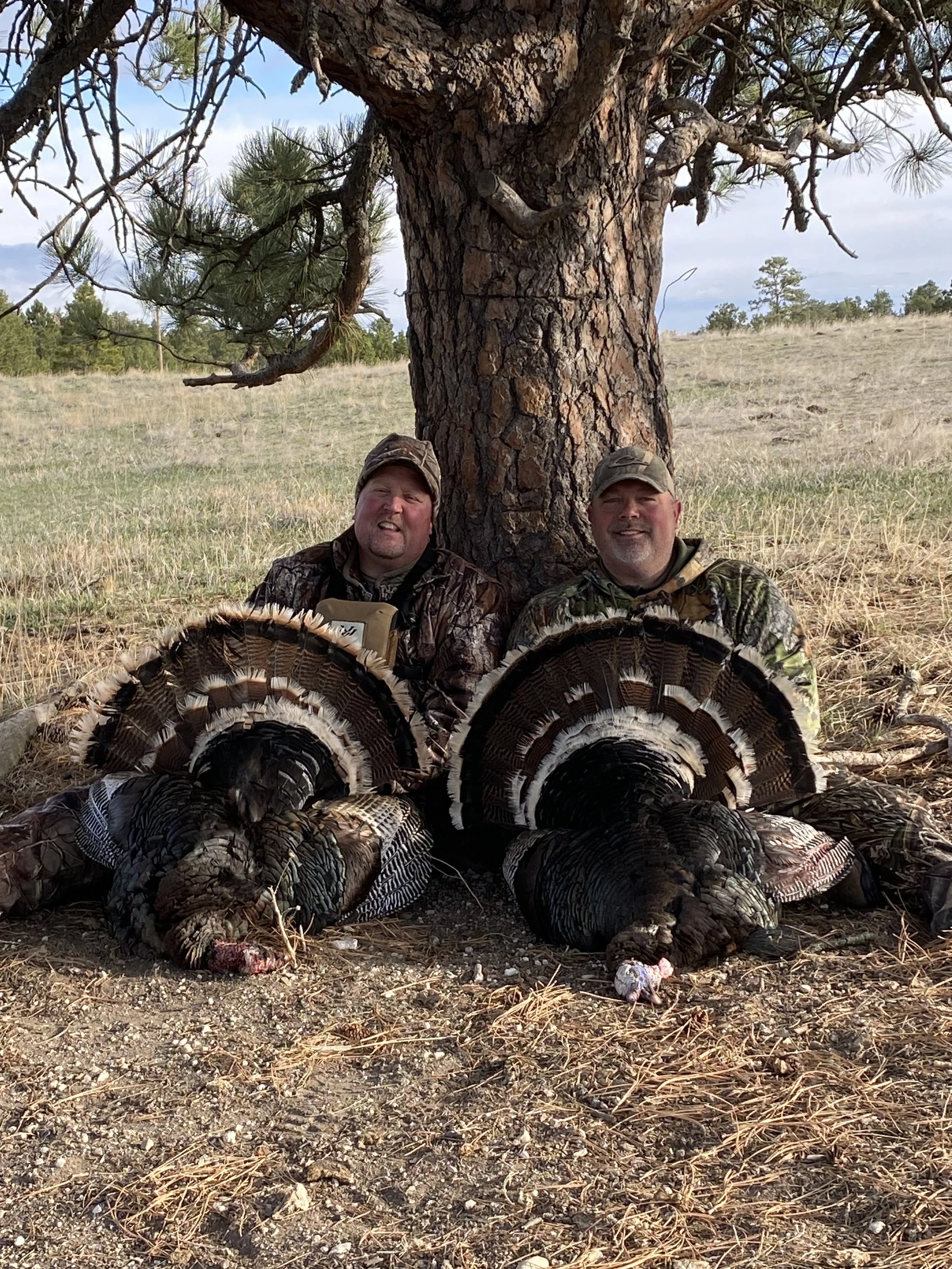 Merriam Turkey — Oldaker Outfitting