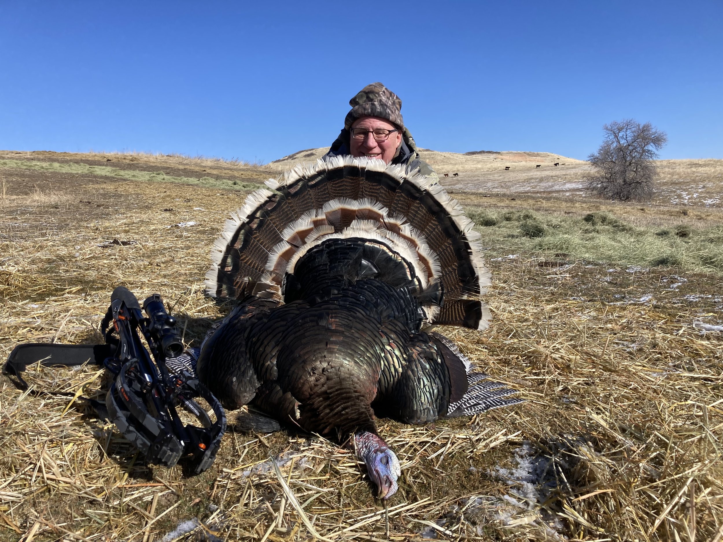 Merriam Turkey — Oldaker Outfitting