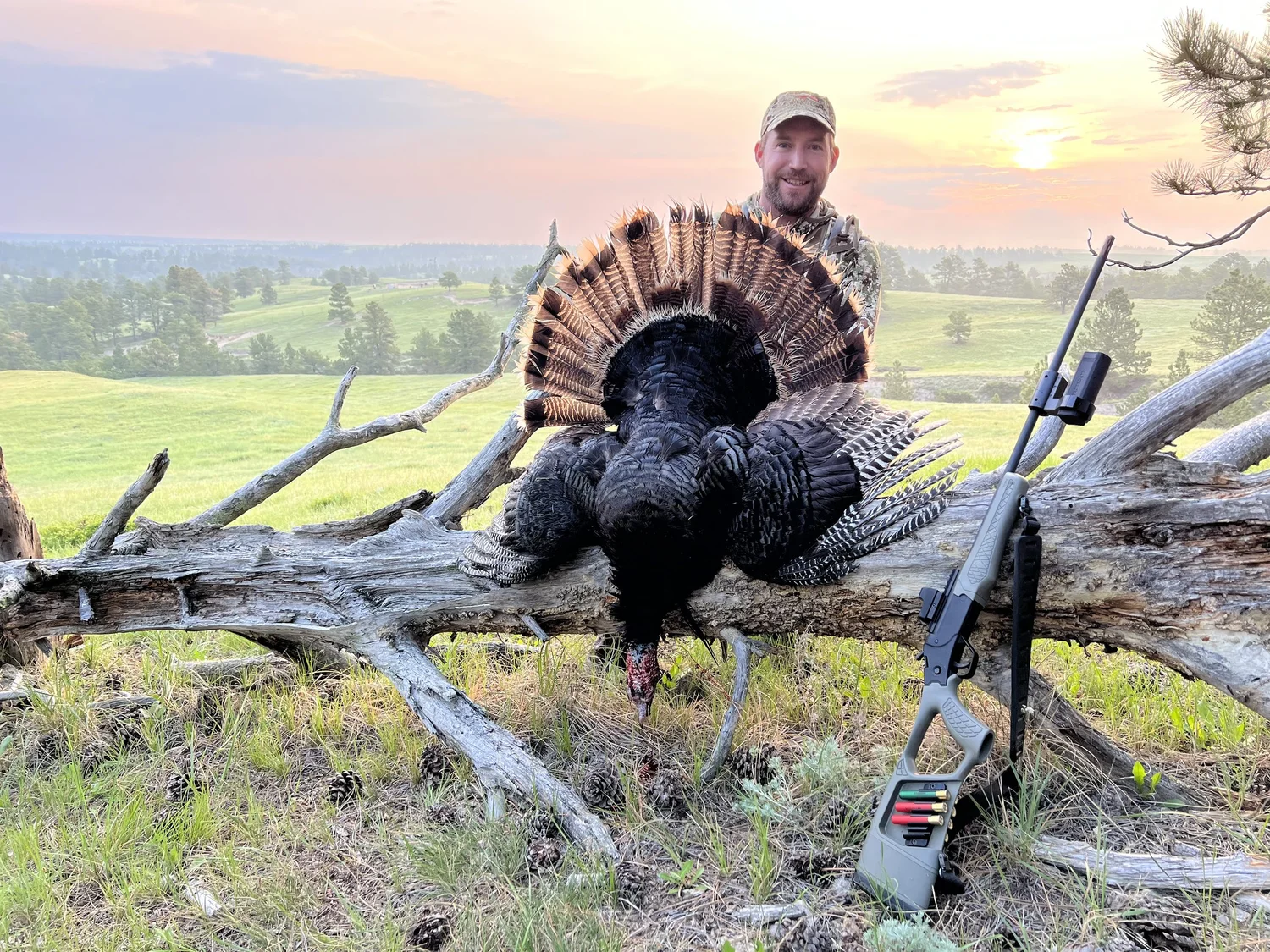 Merriam Turkey — Oldaker Outfitting