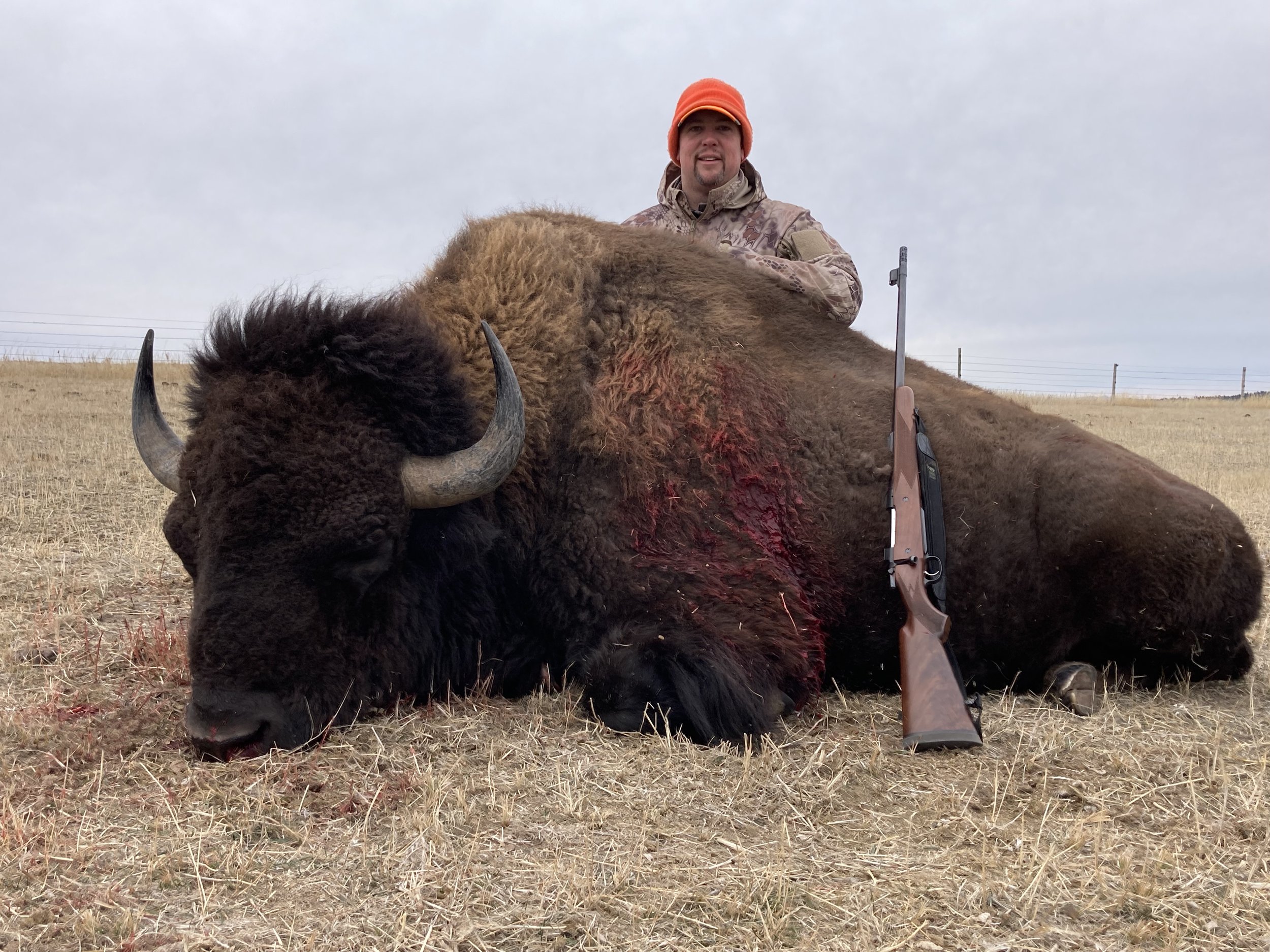 Nebraska Bison — Oldaker Outfitting