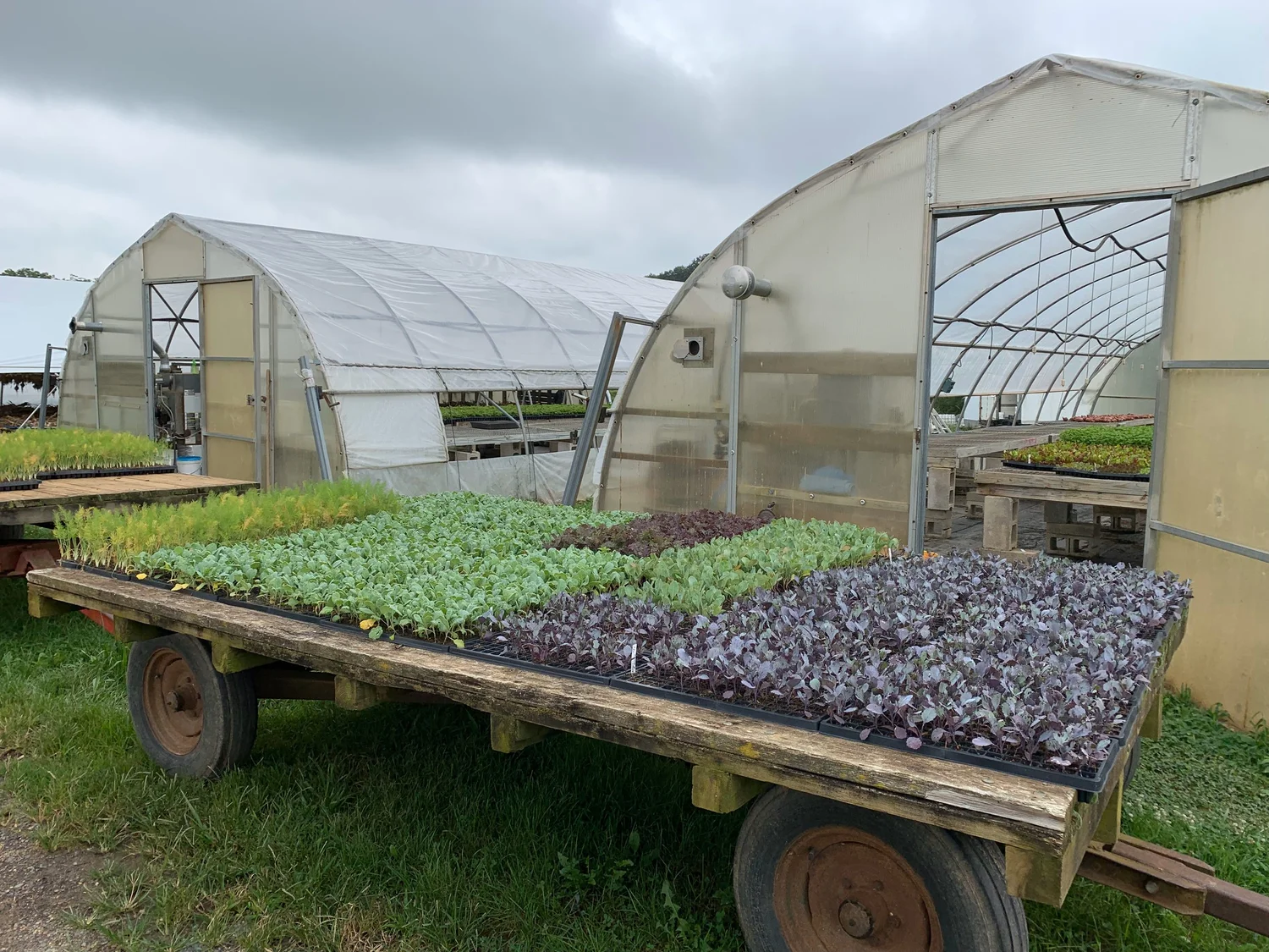 We Grow Our Own — One Straw Farm