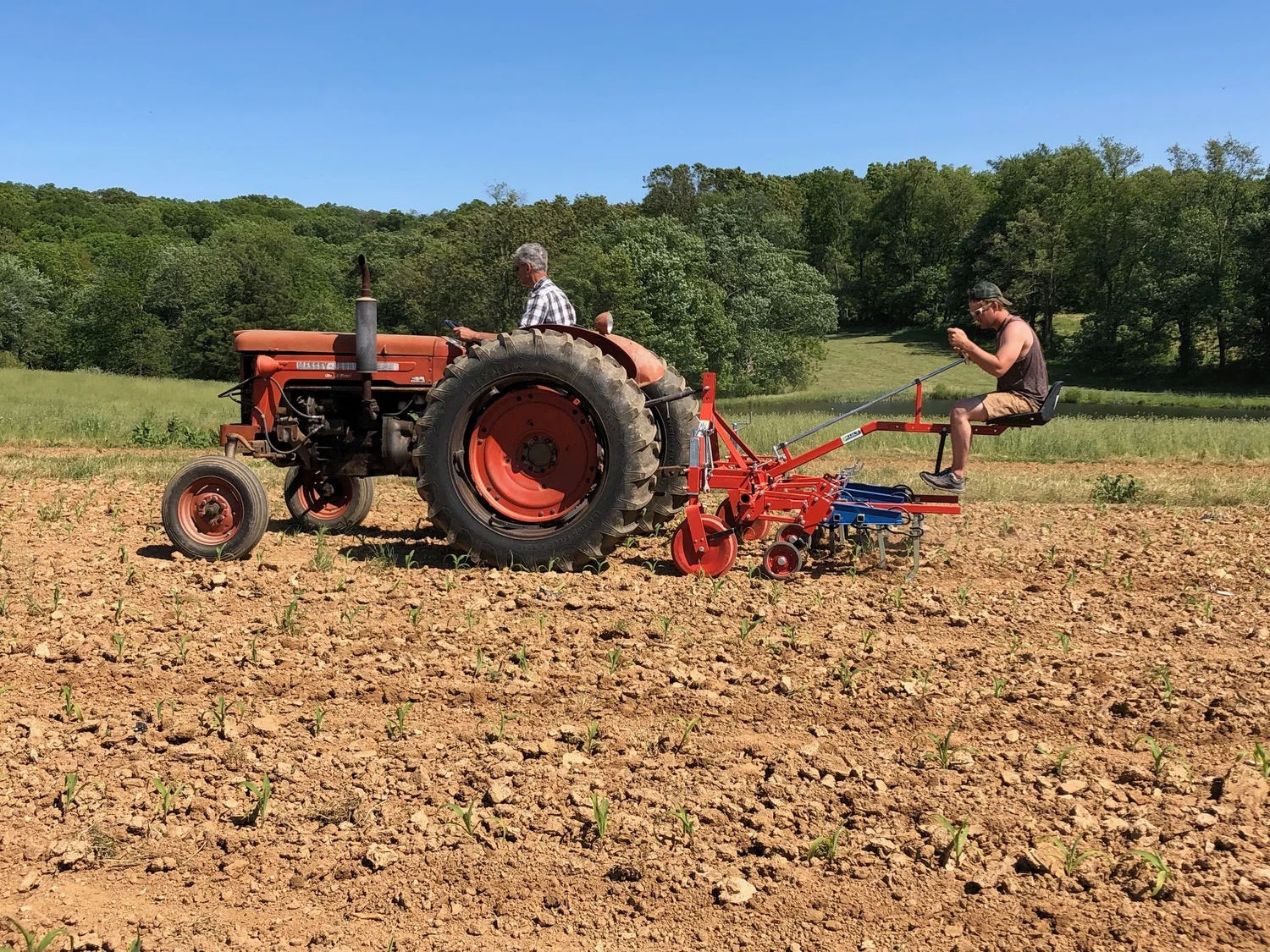 About — One Straw Farm