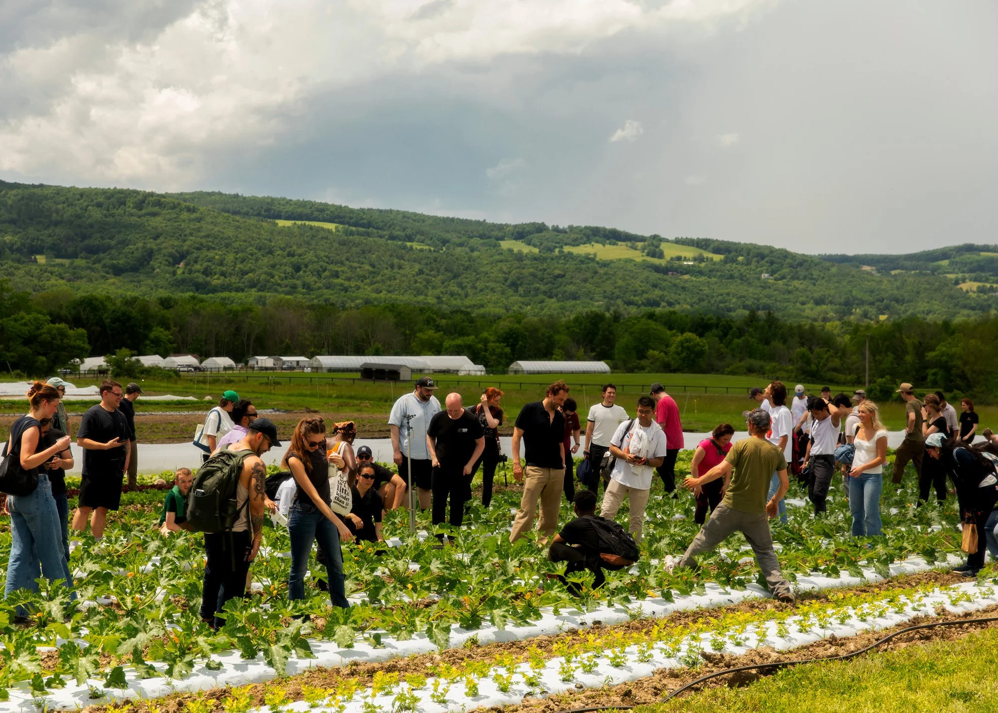 A Day at Magic Farms — Eleven Madison Park