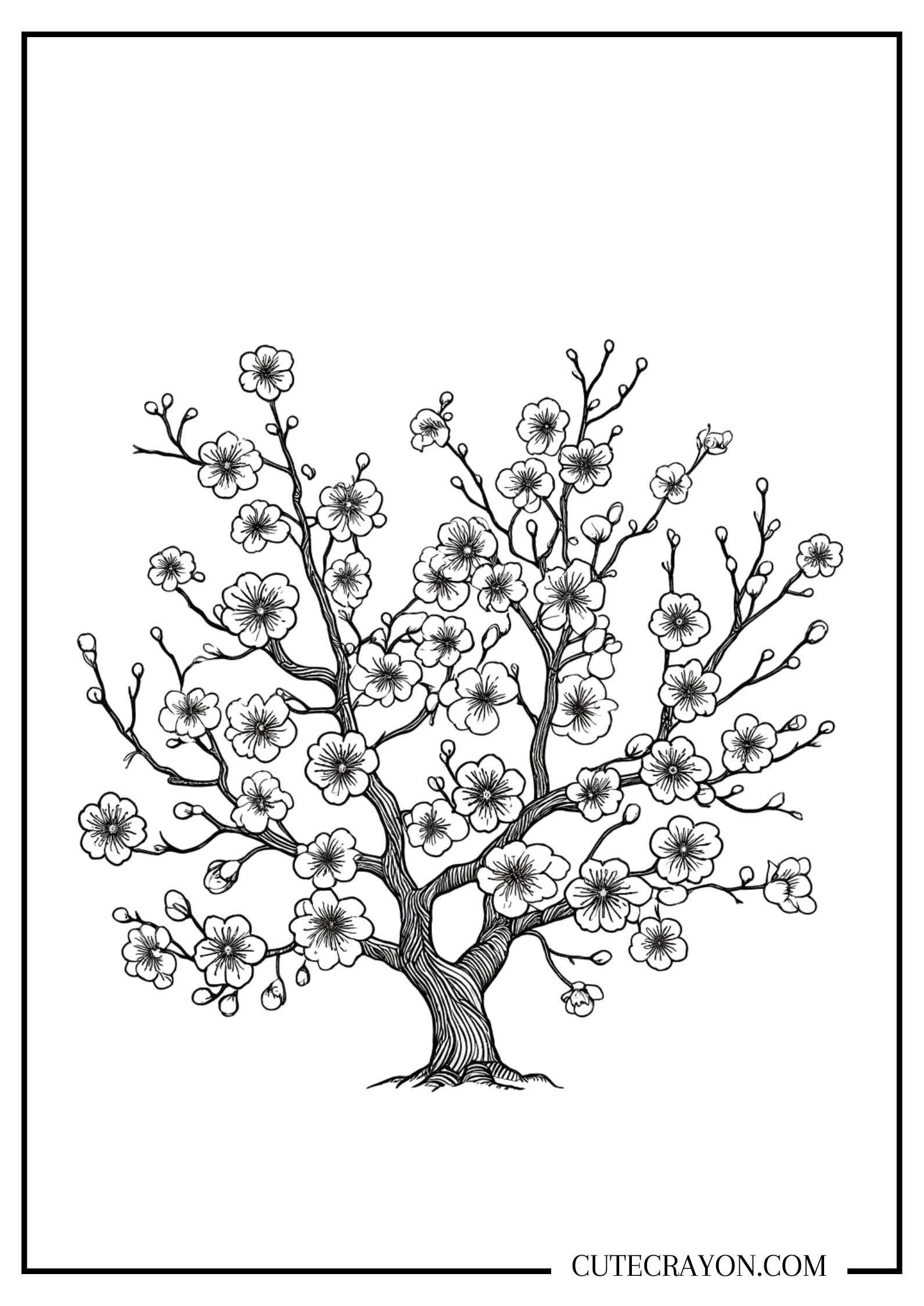 Cherry Blossom Tree Coloring Pages [2025]