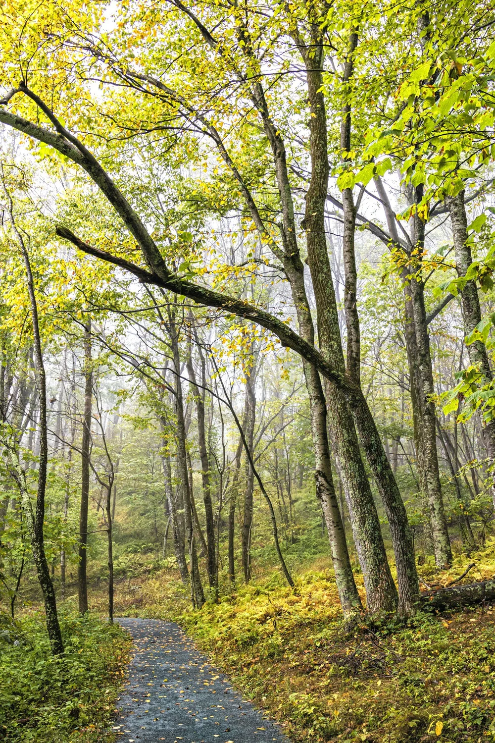 UU Principles & Sources — WUU