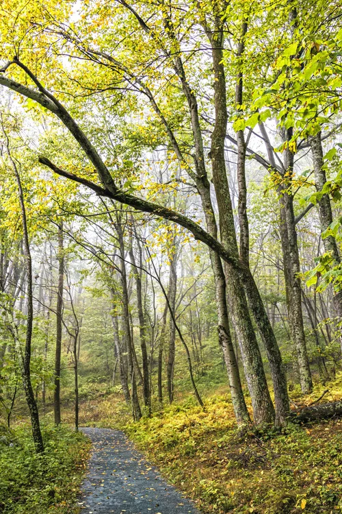 UU Principles & Sources — WUU