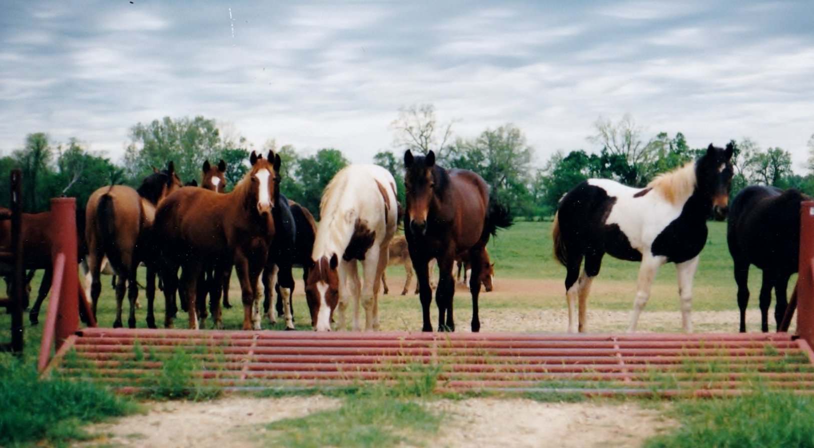General 1 — 2T Cattleguard