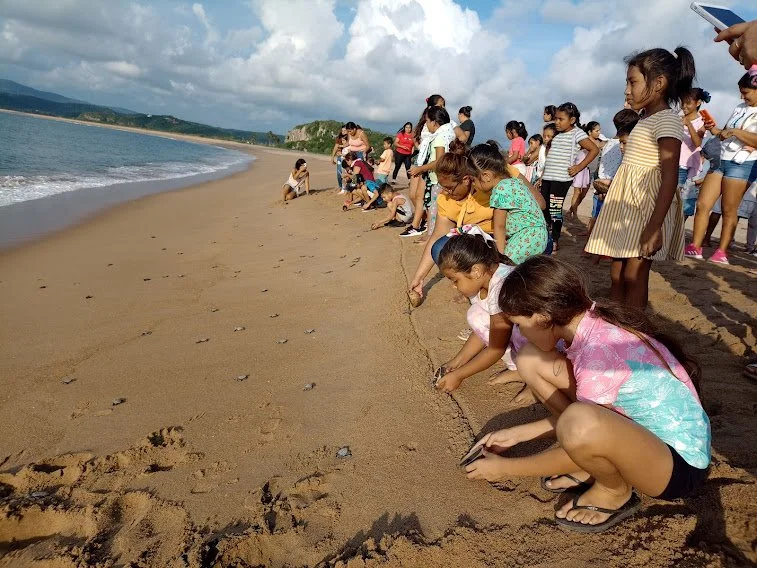 Bringing the Carey back to the Careyes Coast — ?! Careyes Foundation