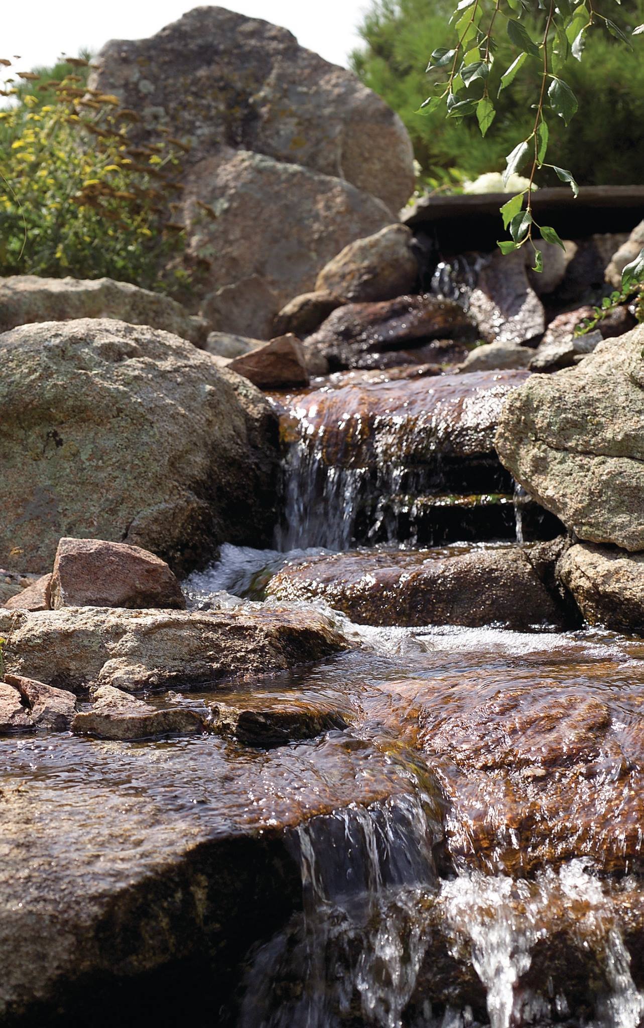 S J Ward Landscapes LLC