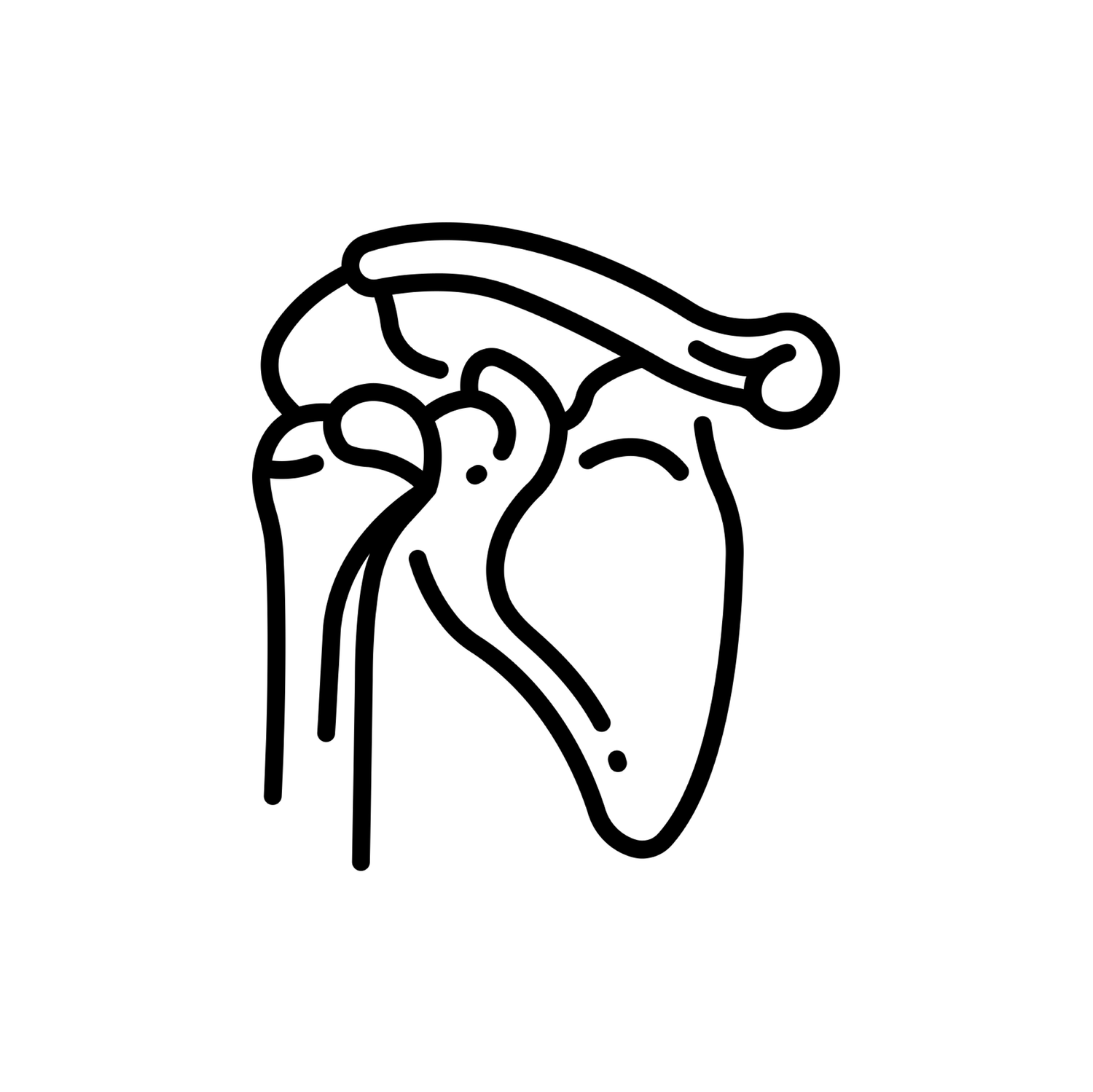 Dr. Marion Herring - Shoulder & Knee - Richmond Shoulder and Knee Surgeon