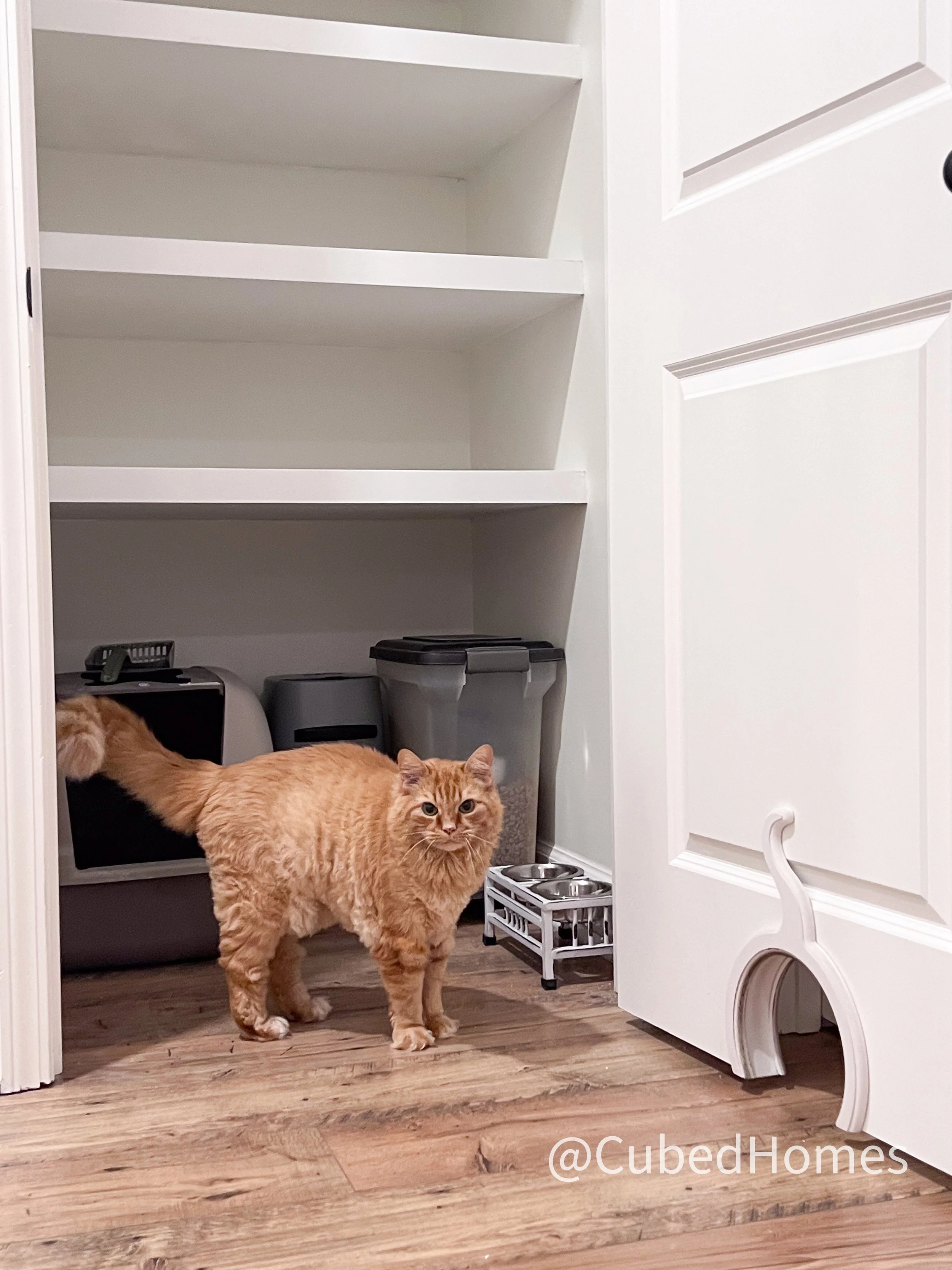 Pet Projects — Cubed Homes