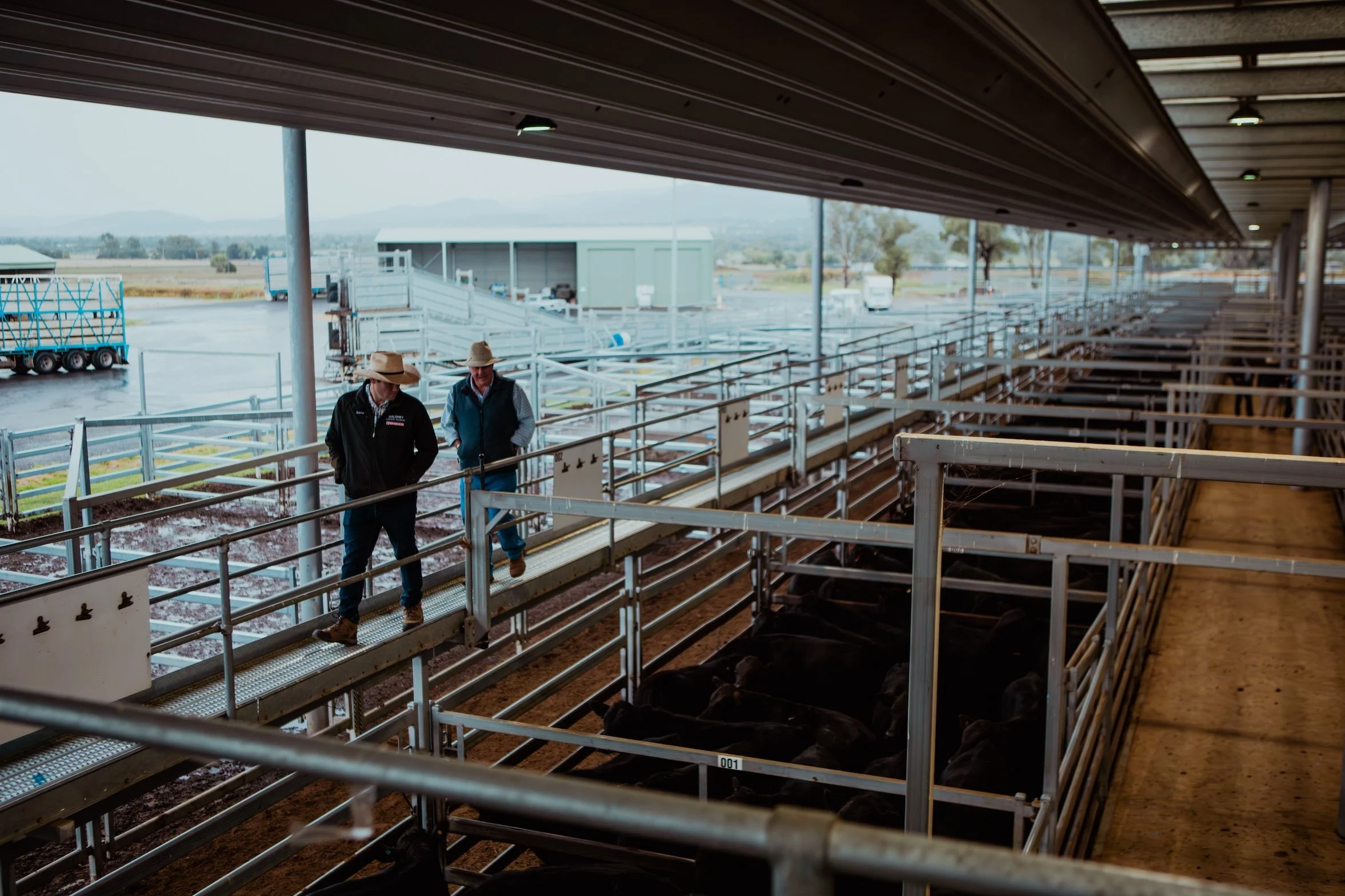 Tamworth Livestock Agents