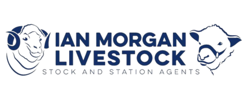 Agencies — Tamworth Livestock Agents