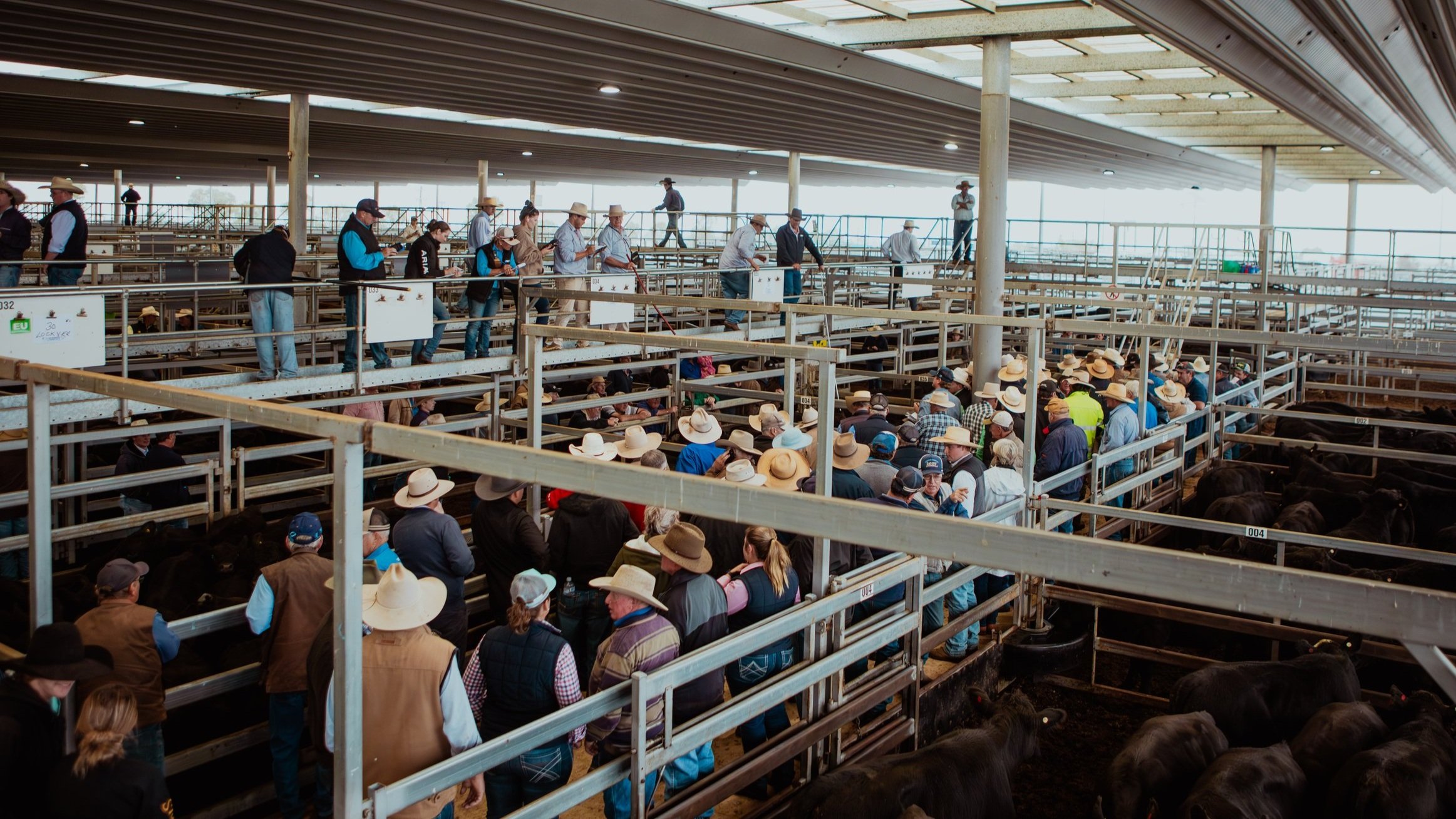 Tamworth Livestock Agents