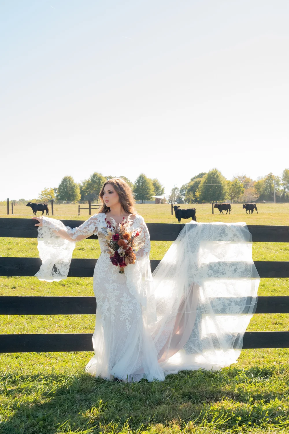 Gallery — AAA Farms