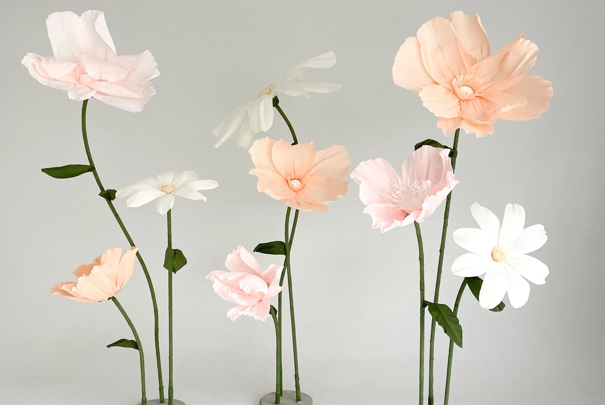 Giant Flower Installations and hire — The Pretty Collective