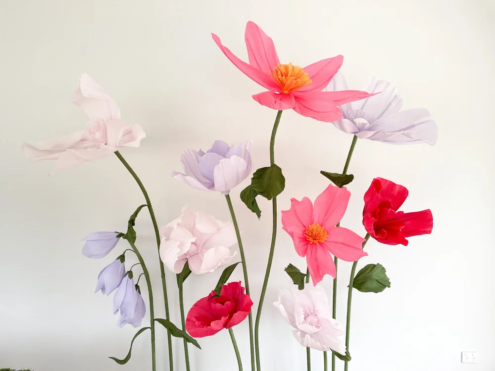 Giant Flower Installations and hire — The Pretty Collective