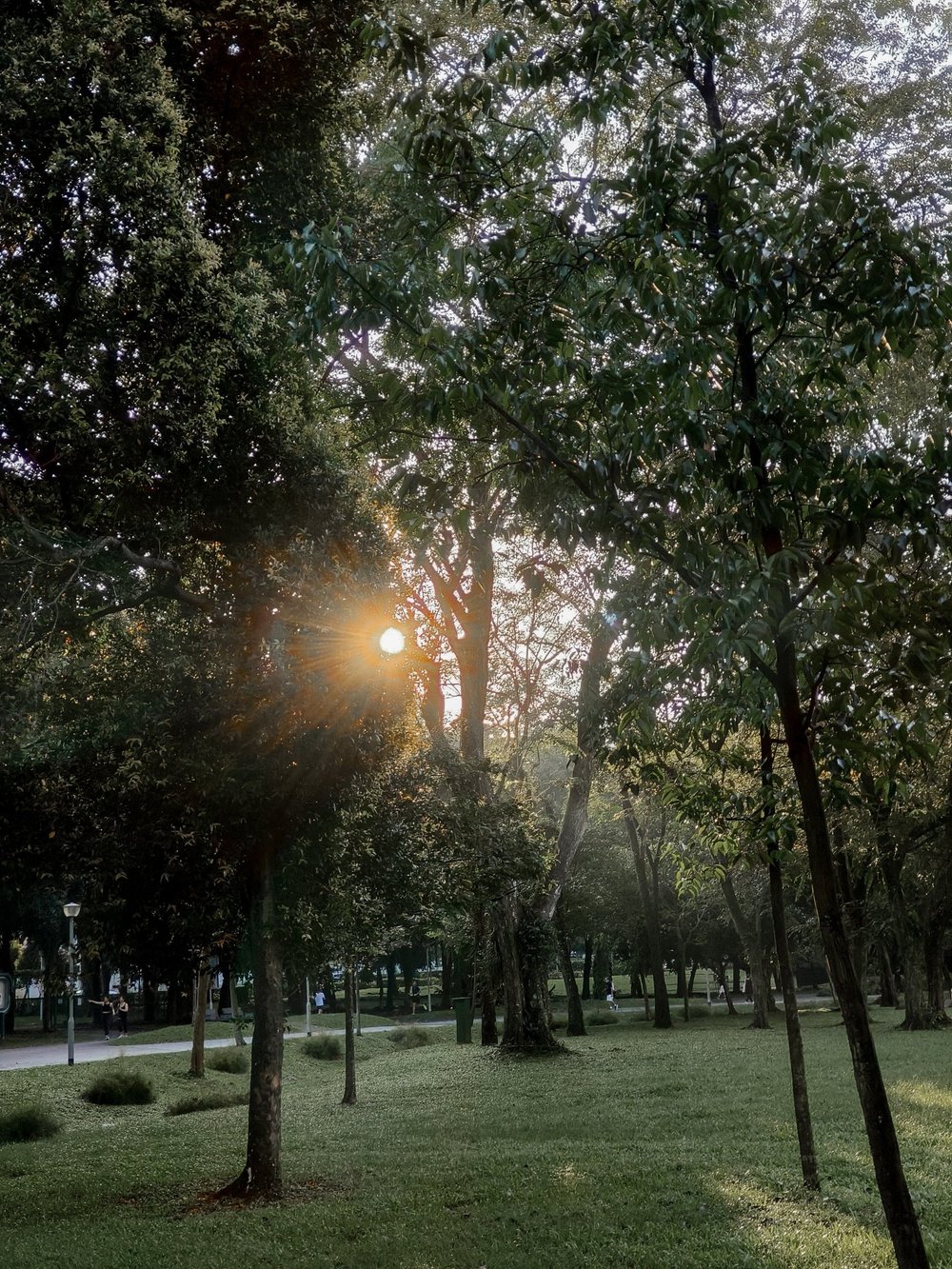 Prices — Yoga Seeds