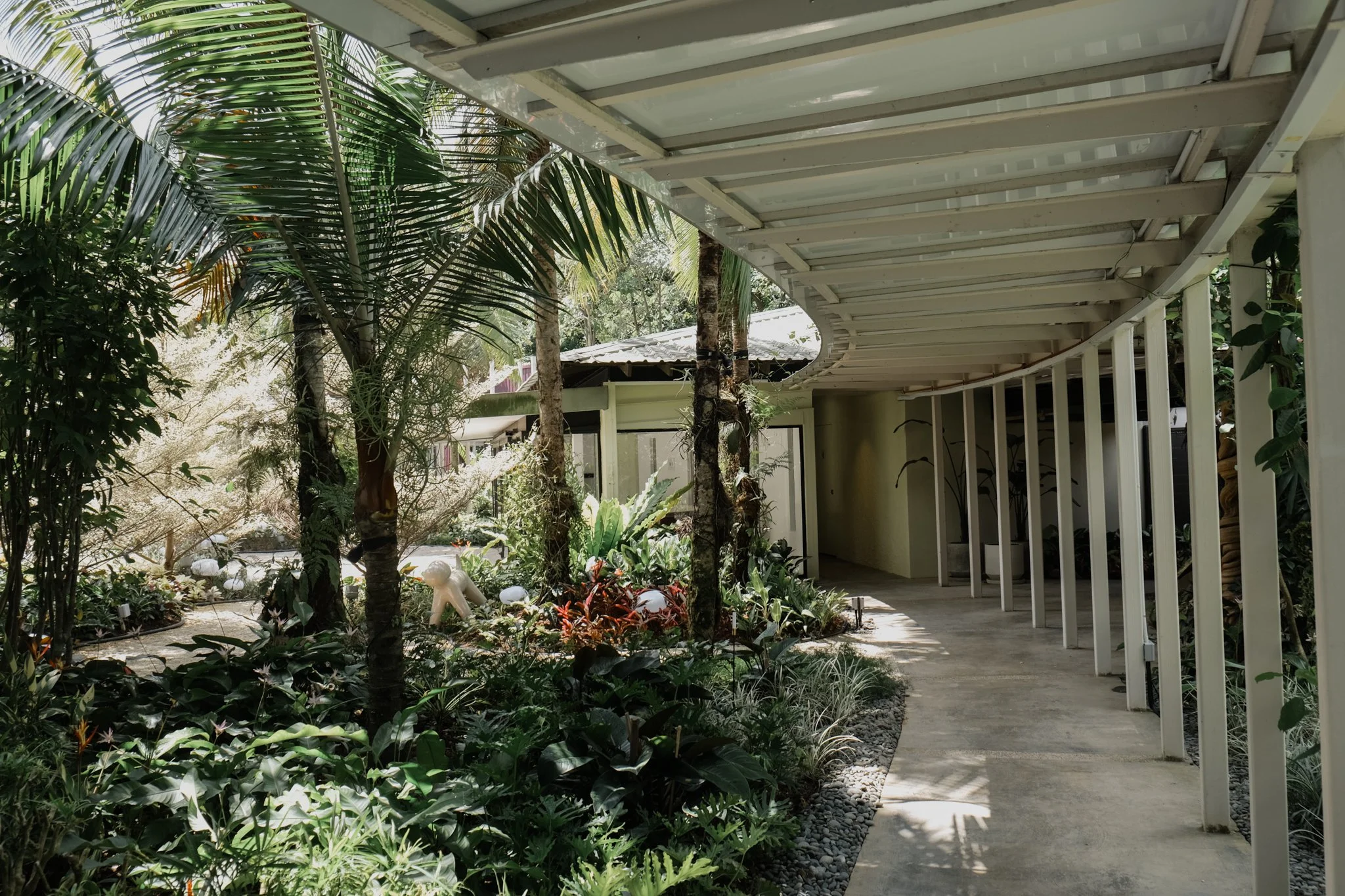 Garden Yoga Shala in Bishan Park, Singapore | Yoga Seeds — Yoga Seeds