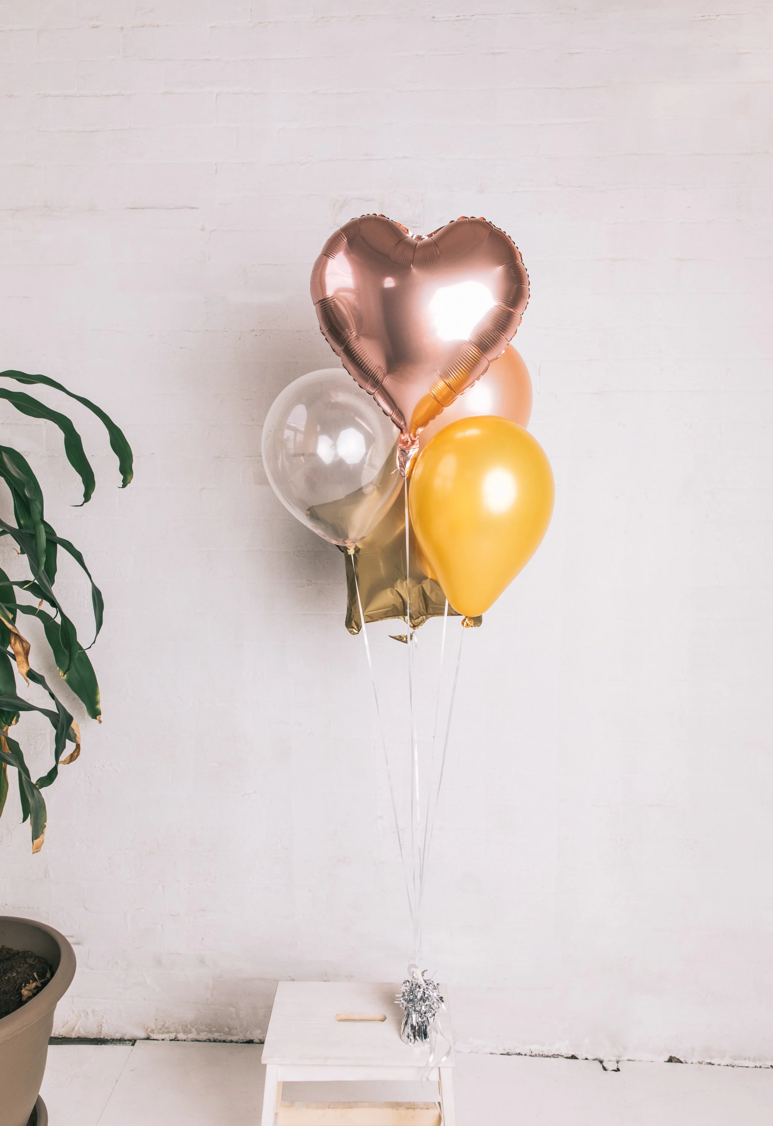 Assorted 5 Balloon Pack — Fleur De Lis Floristry