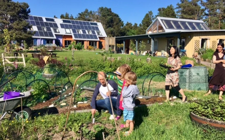 Blog — Findhorn Foundation