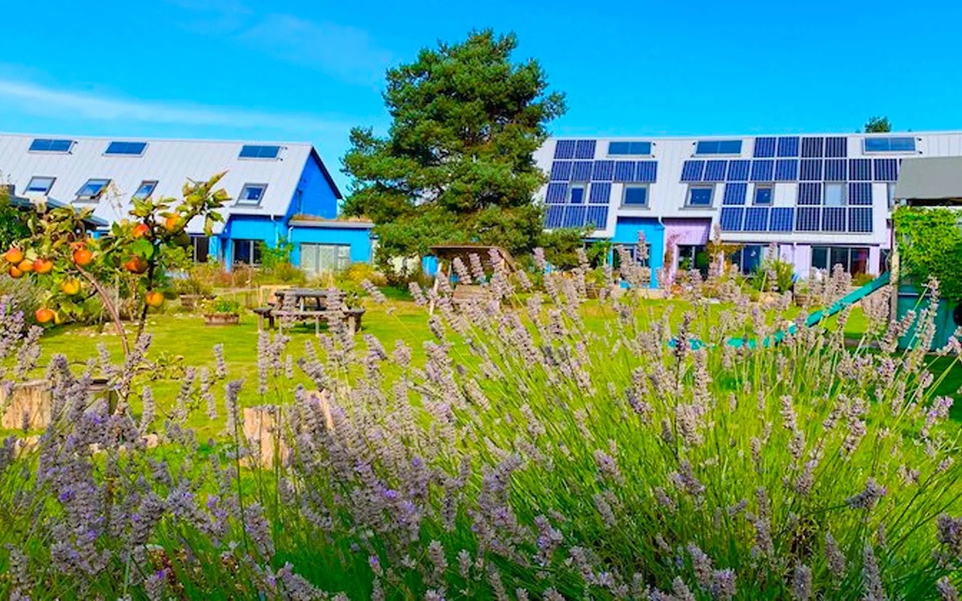 After 60 years, what’s new? — Findhorn Foundation