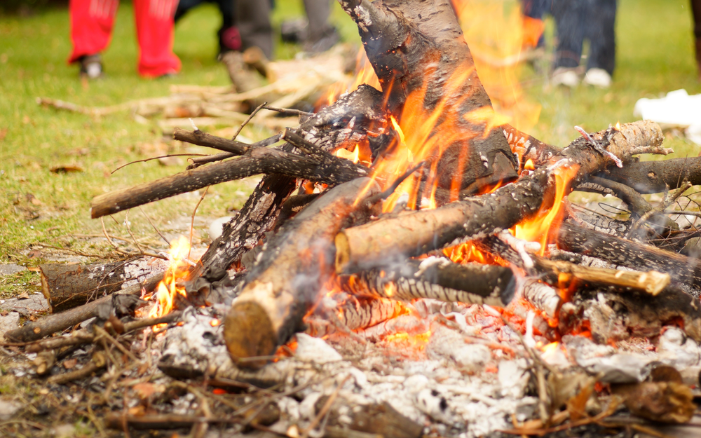 Beltane and May Day – The Celtic Festival of Fertility — Findhorn ...