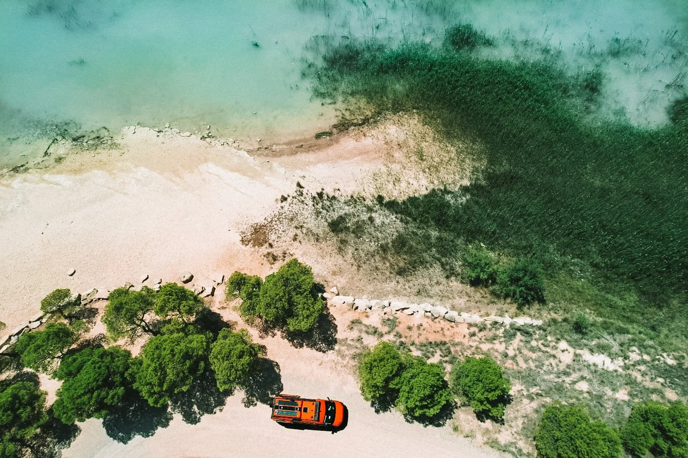 Unleash True Freedom with Kaktus Vans: No Roots. No Limits.