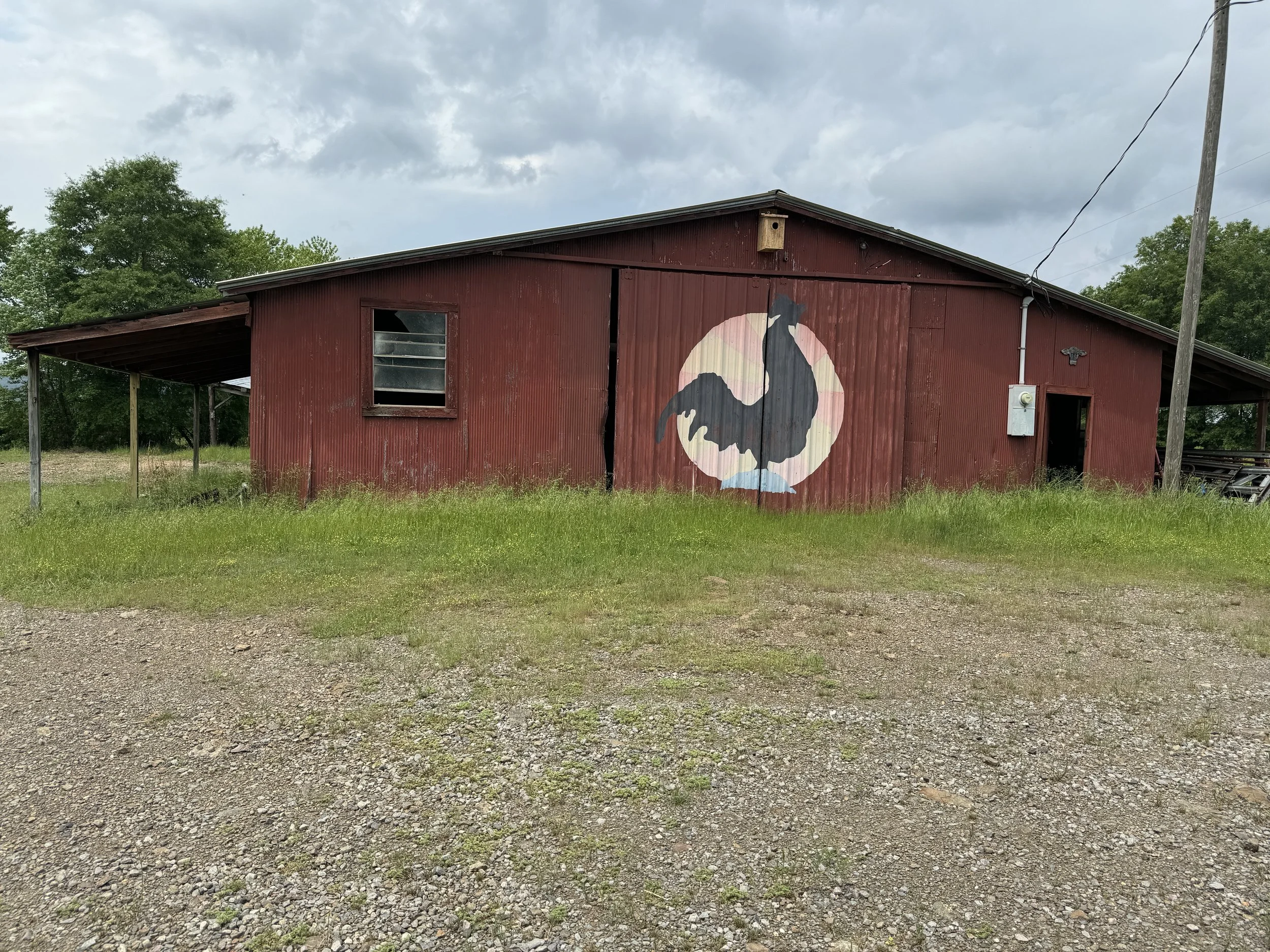 A little trip with a big impact — The Deena Jo Heide-Diesslin Foundation
