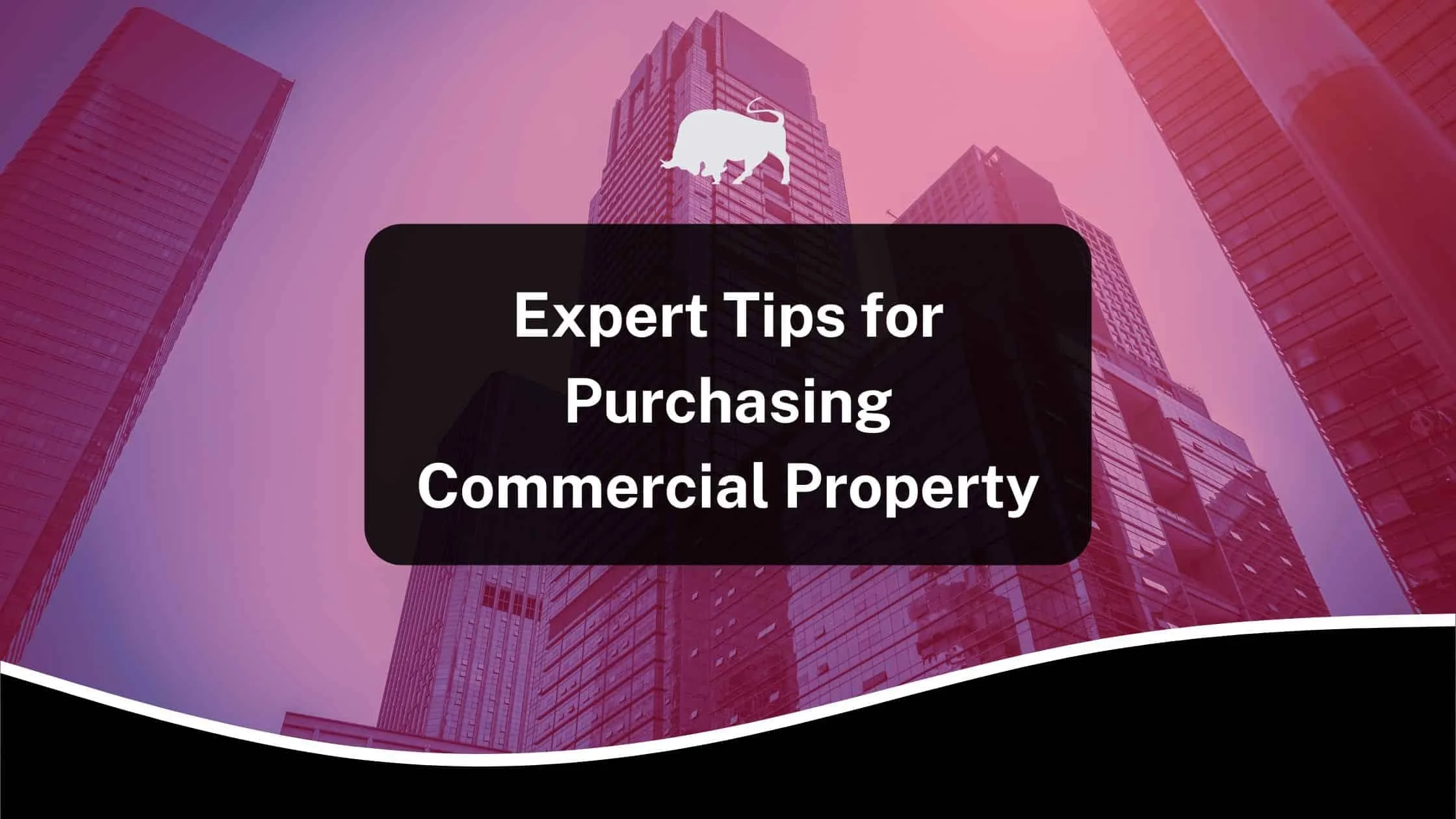 Purchasing Commercial Property: Top Expert Tips for Success — JROC ...