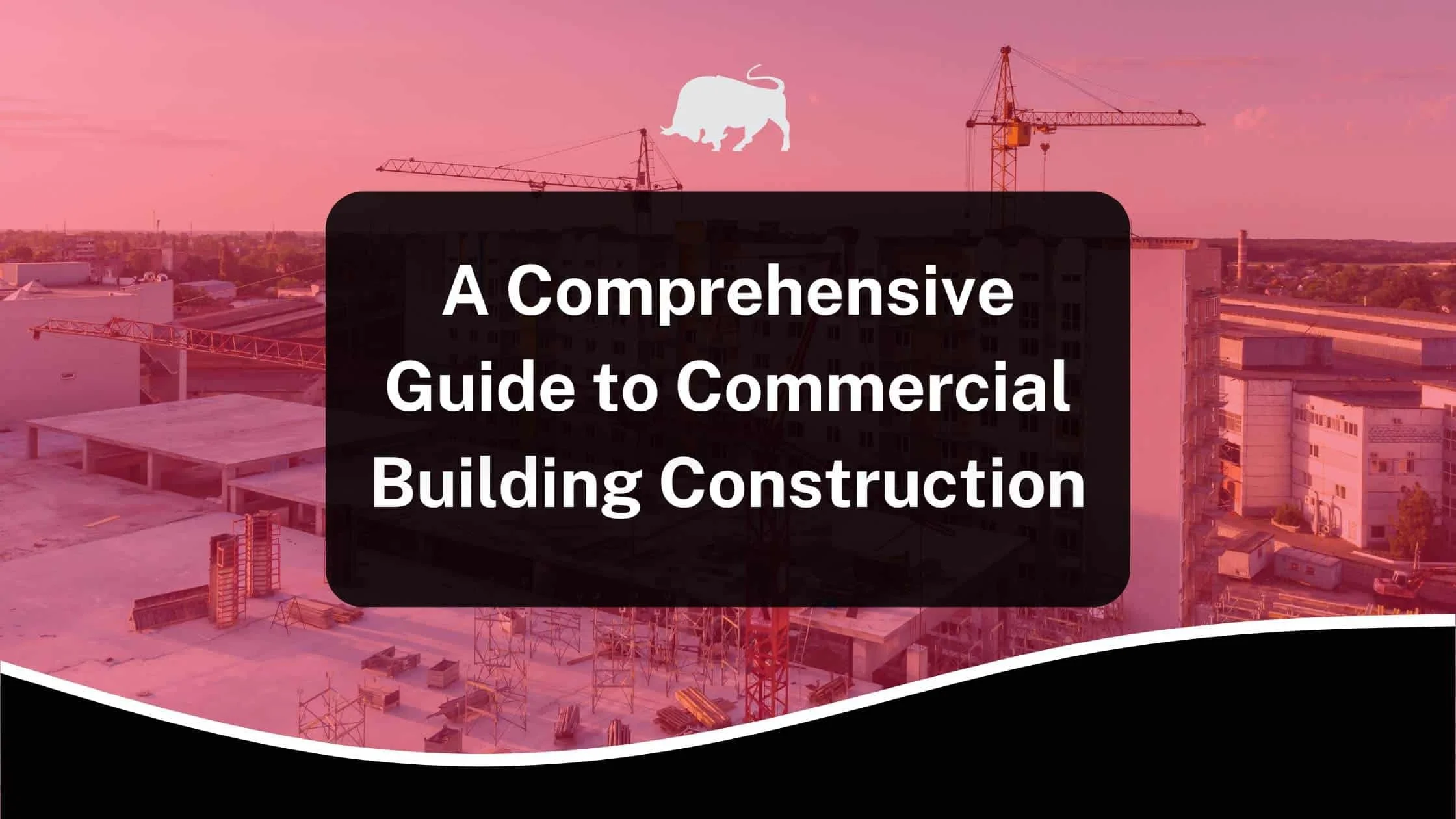 Build Like a Pro: Essential Guide to Commercial Construction Success ...