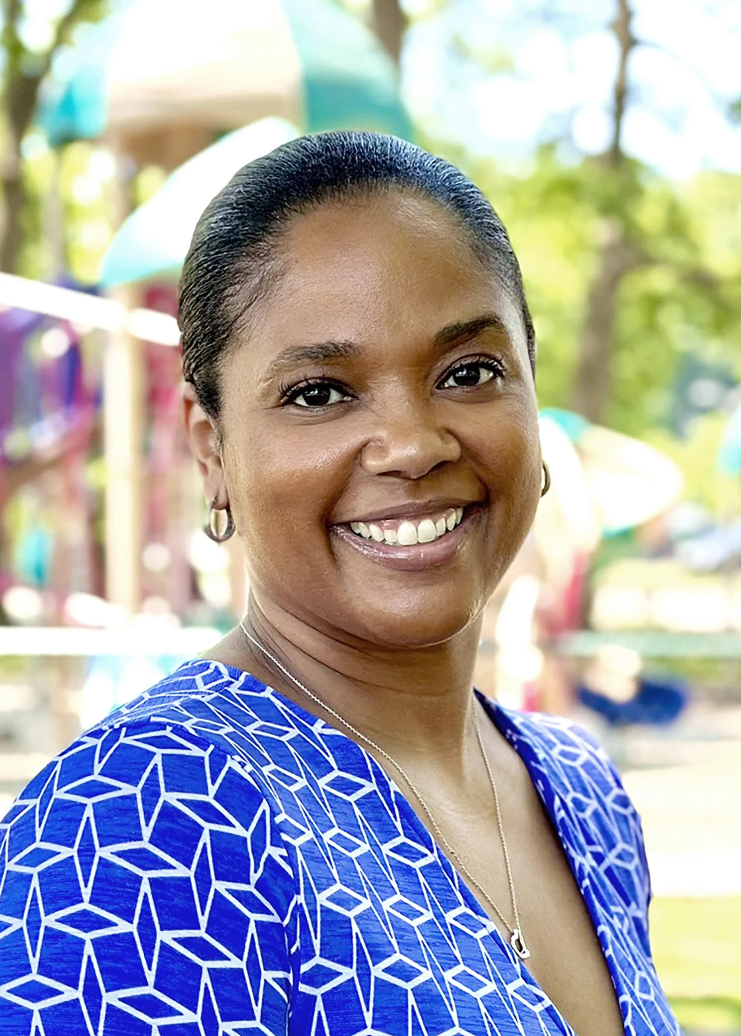Board of Directors — Stamford Parks Community Partnership