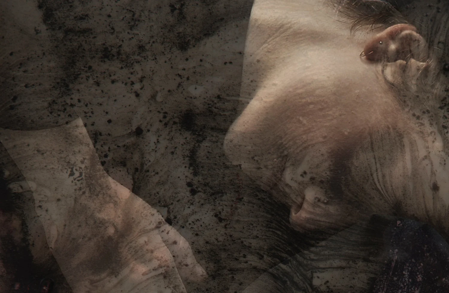 MONIKA WEISS — Bruno David Gallery