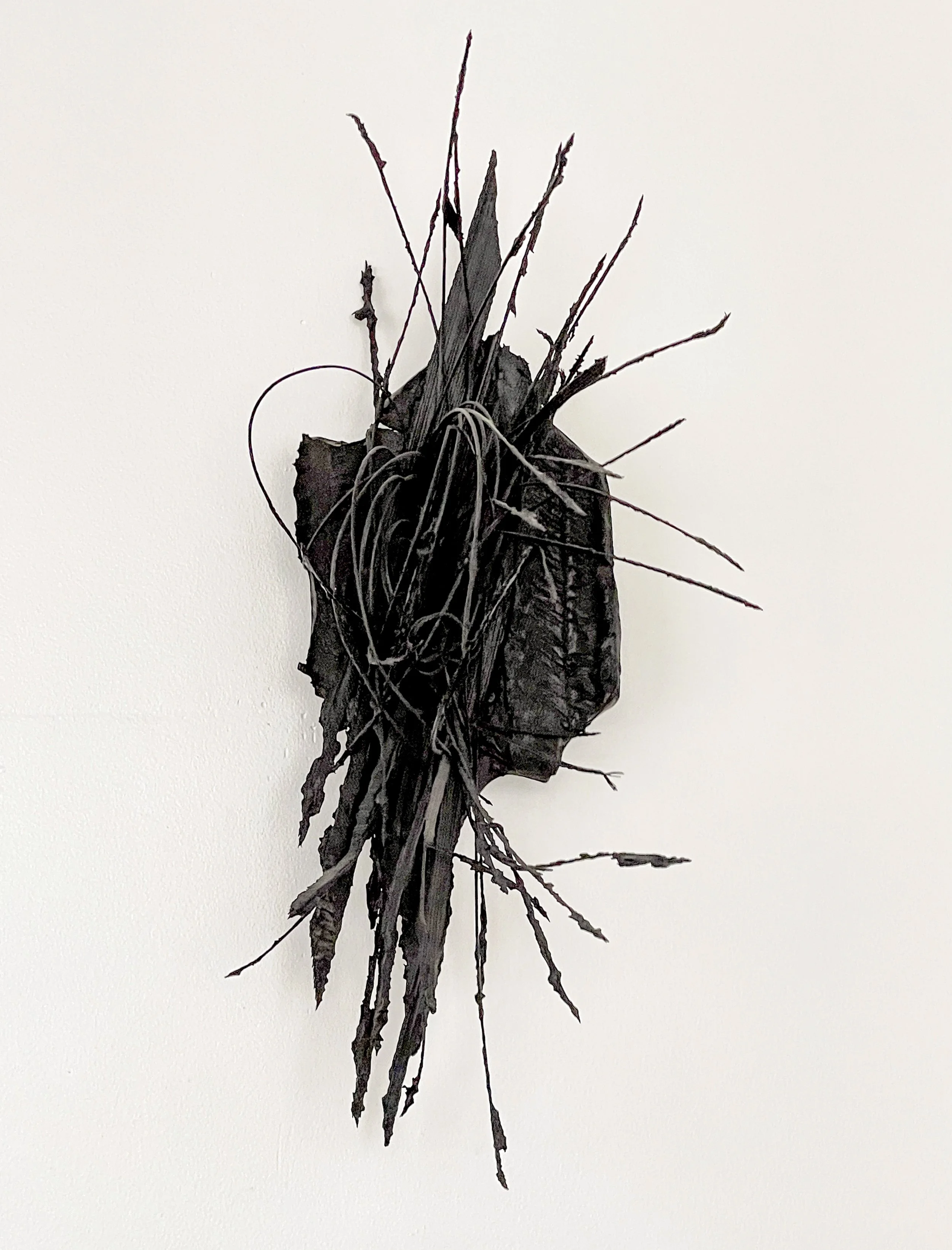 JUDITH SHAW — Bruno David Gallery