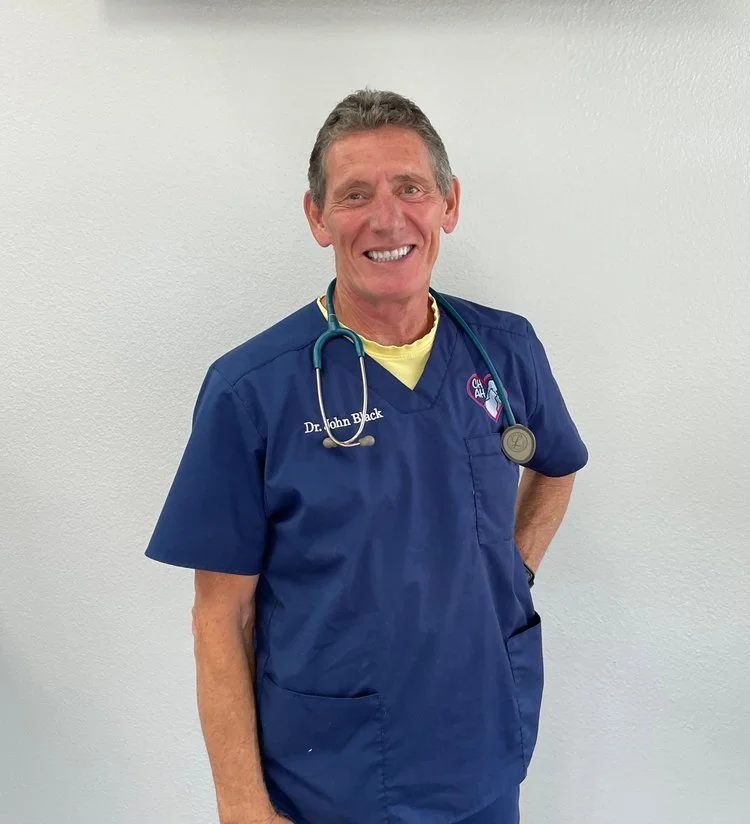 Our Team | Meet Our Experts — Orange Olive Animal Hospital