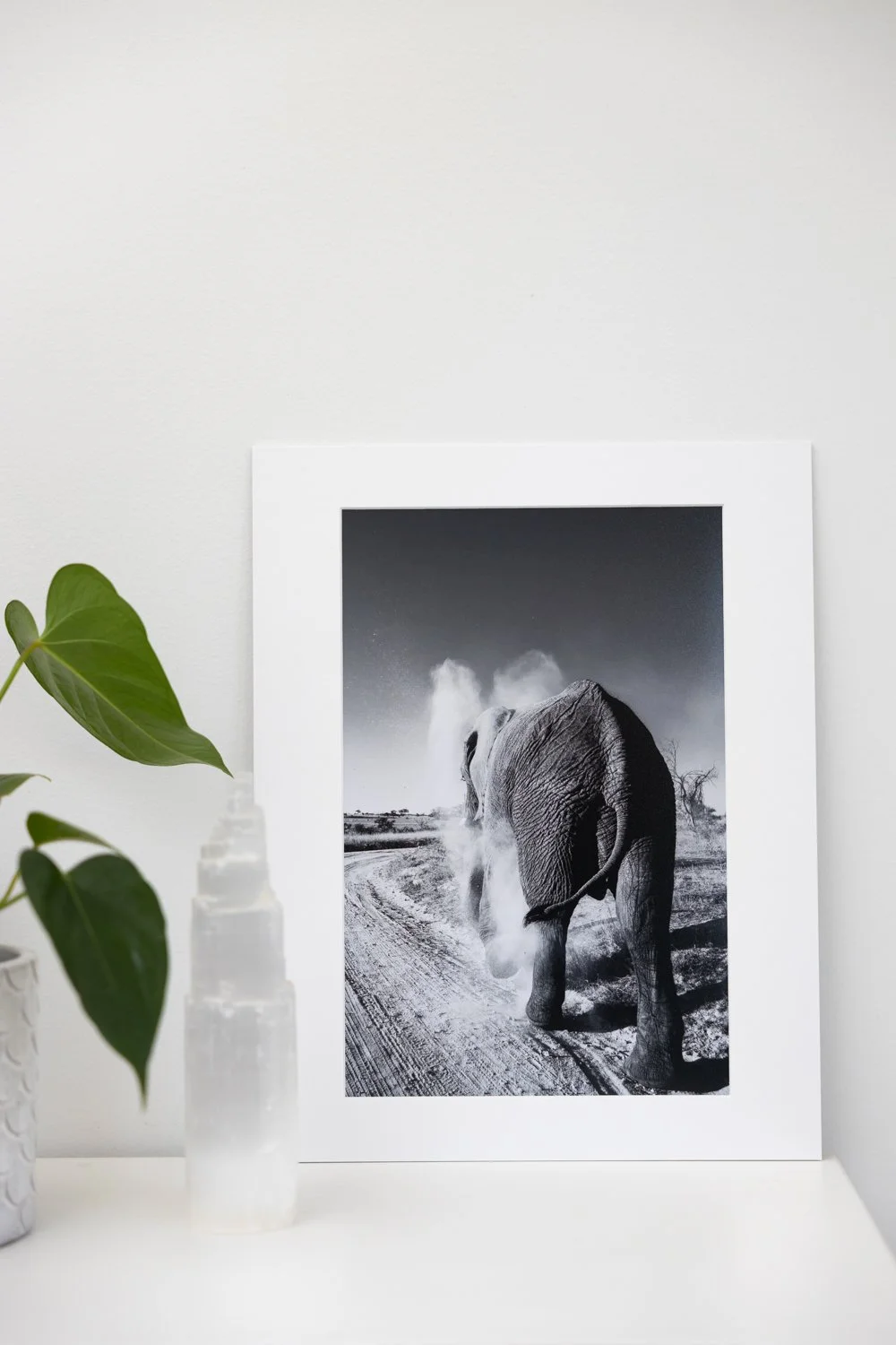 Burragorang Valley — Erin Boyd Photography