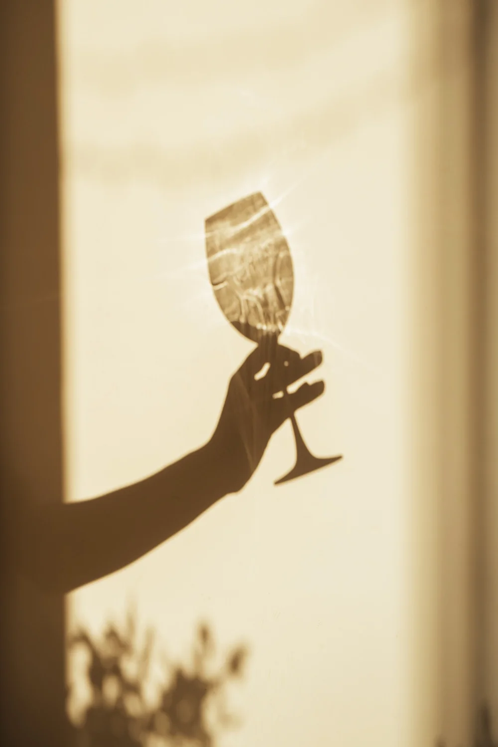 81 Bay Wine Bar — Baix