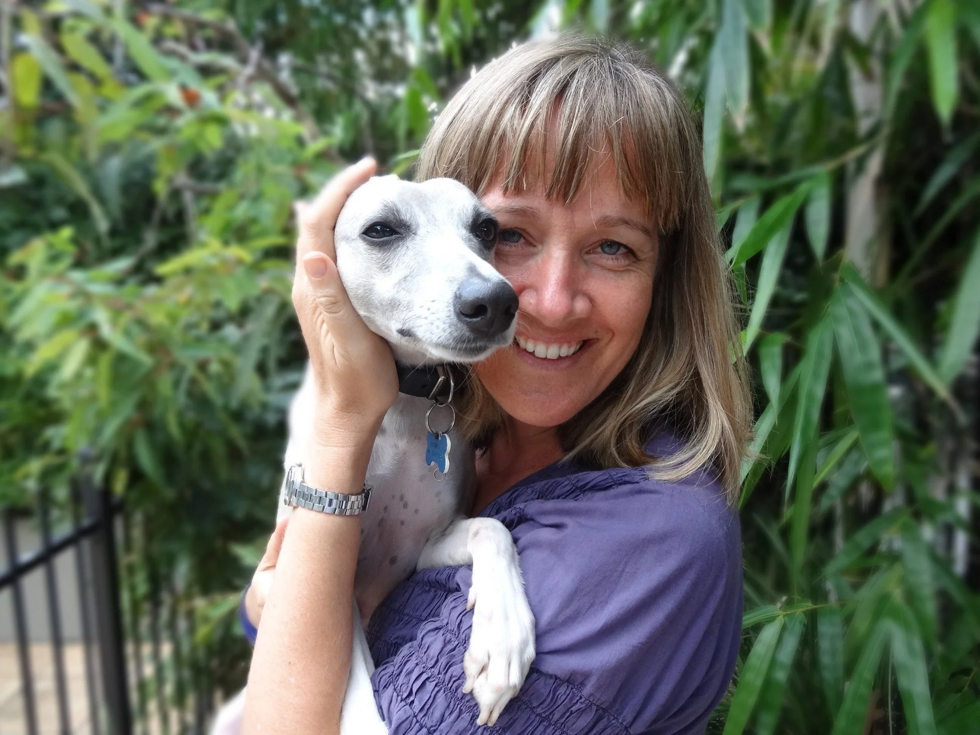 About — Value Care Vet Clinic