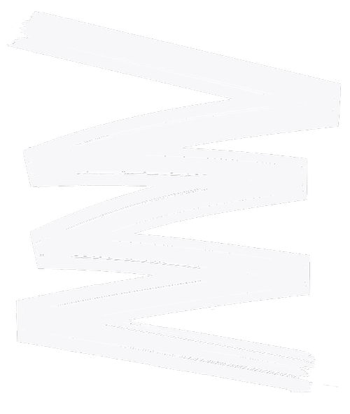 Skilled Respected Equal Alliance - Skilled Respected Equal - Australian Services Union