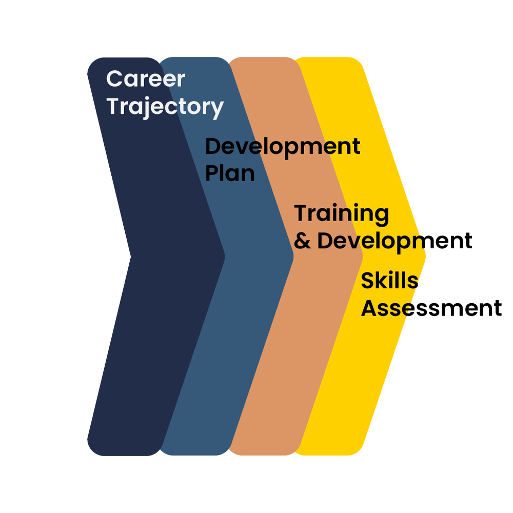 Develop Mindset — Mérito Mindset