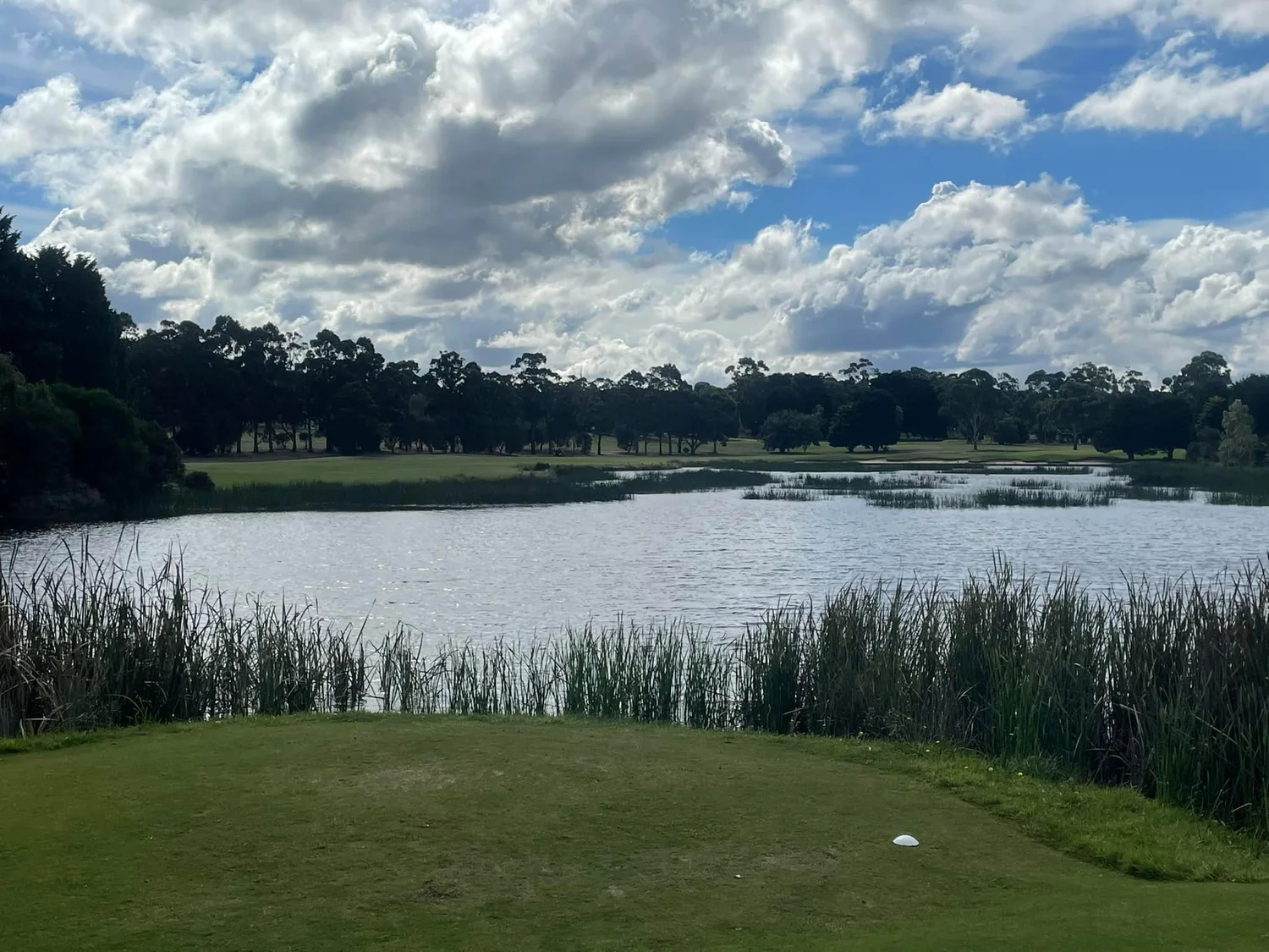 Clubs & Non Voting Clubs — Dalhousie District Golf Association